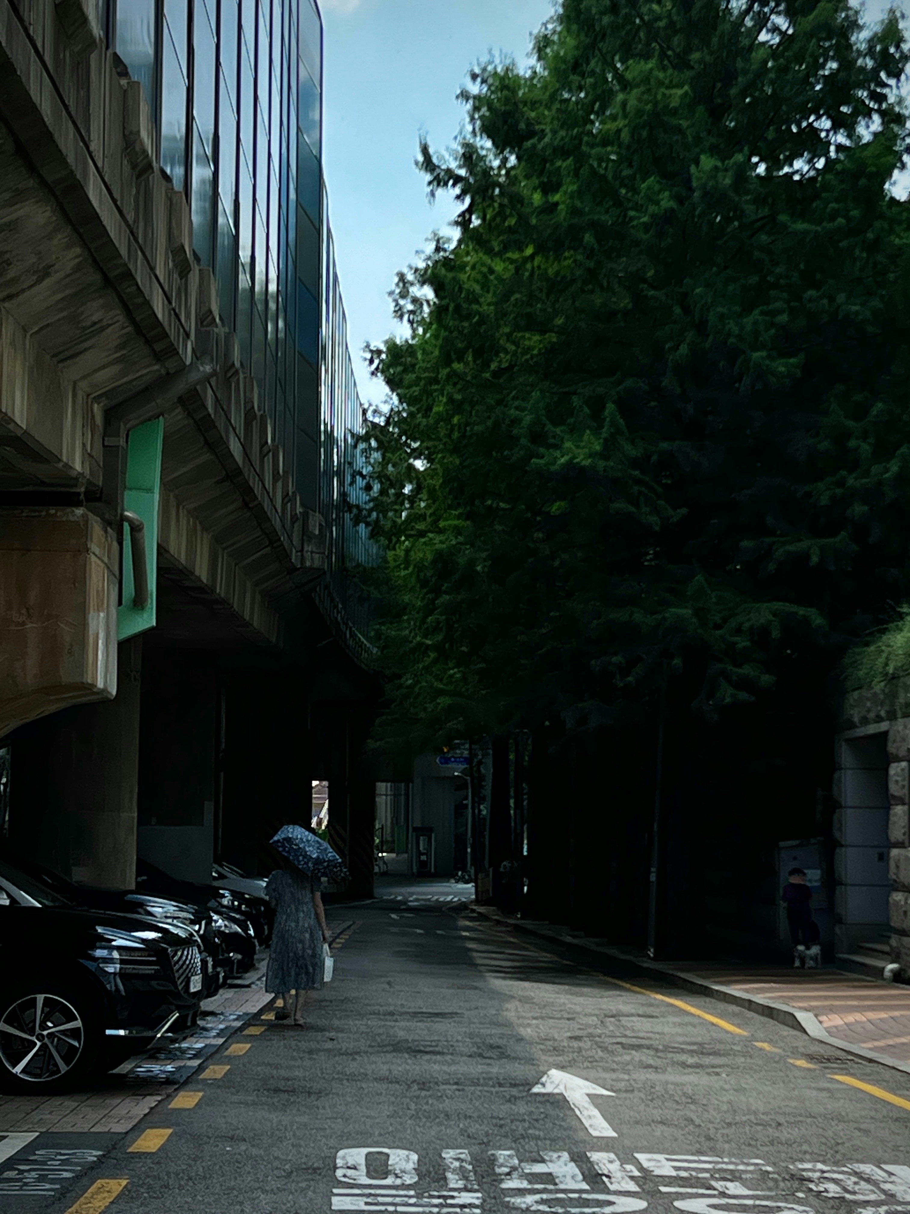 Umbrella Walk: Quiet Street Under a Glassy Overpass