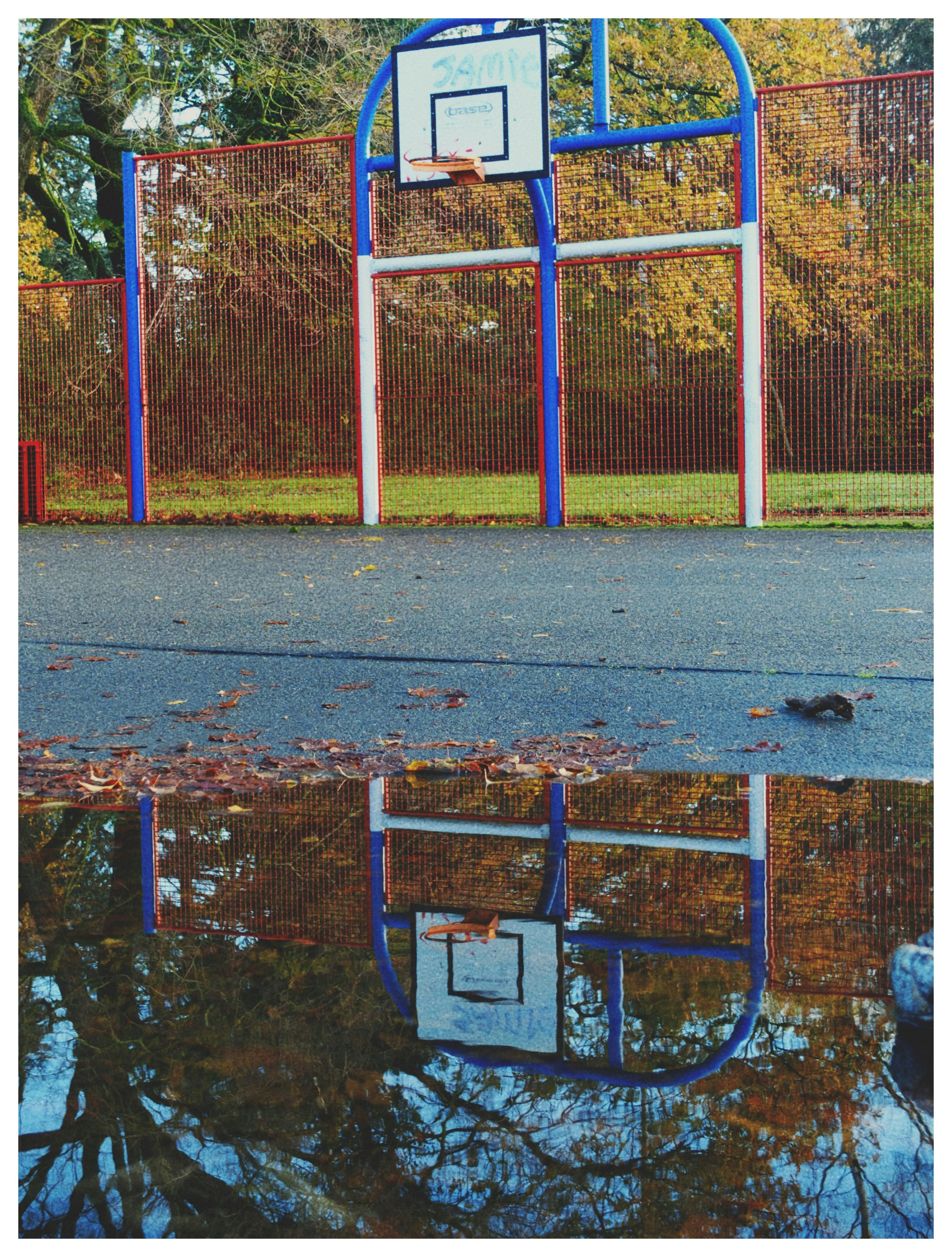 Basketball hoop reflected in a puddle on asphalt