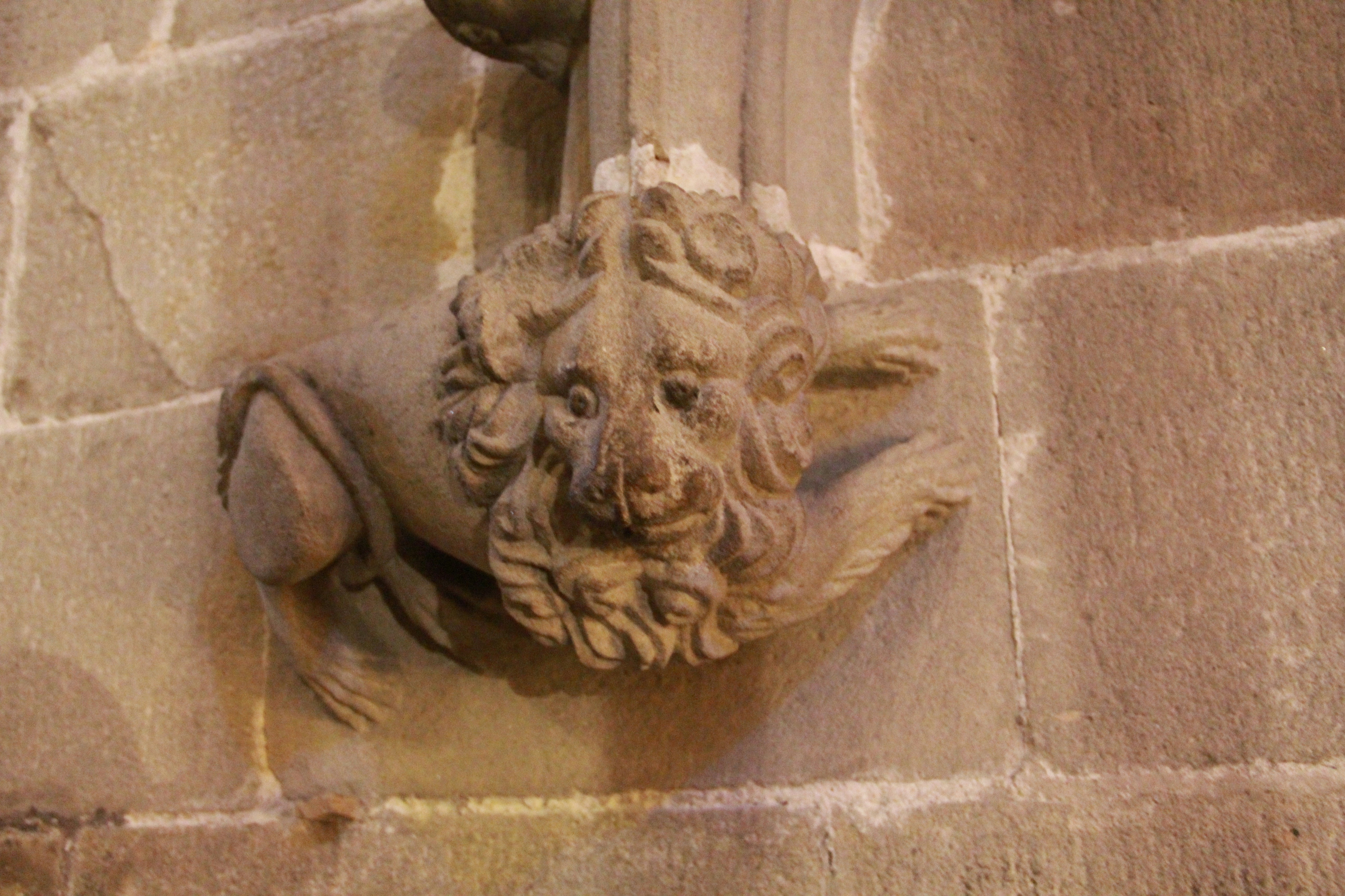 Photo by Sui Xu with Canon EOS 60D