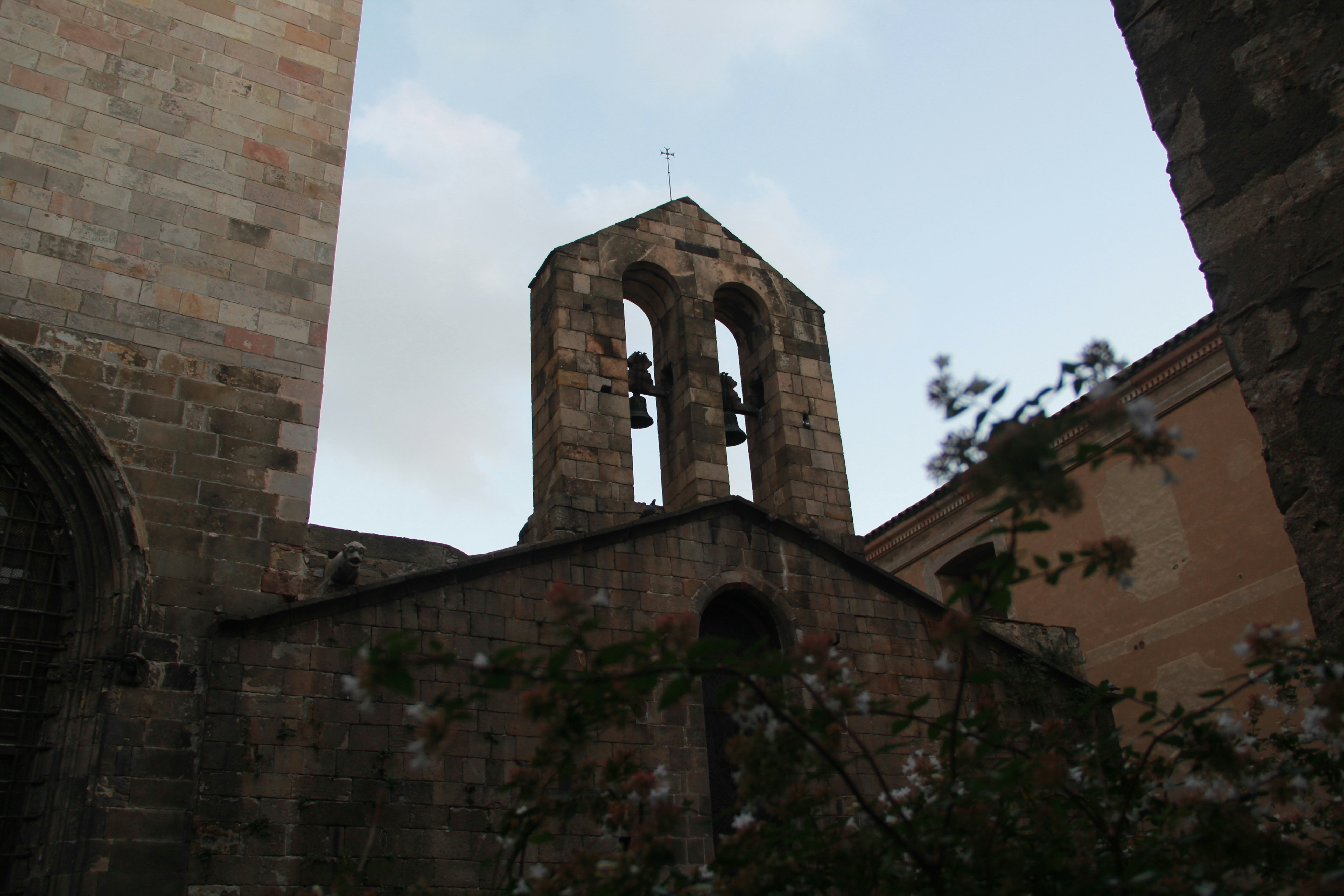 Photographed on October 6, 2018.