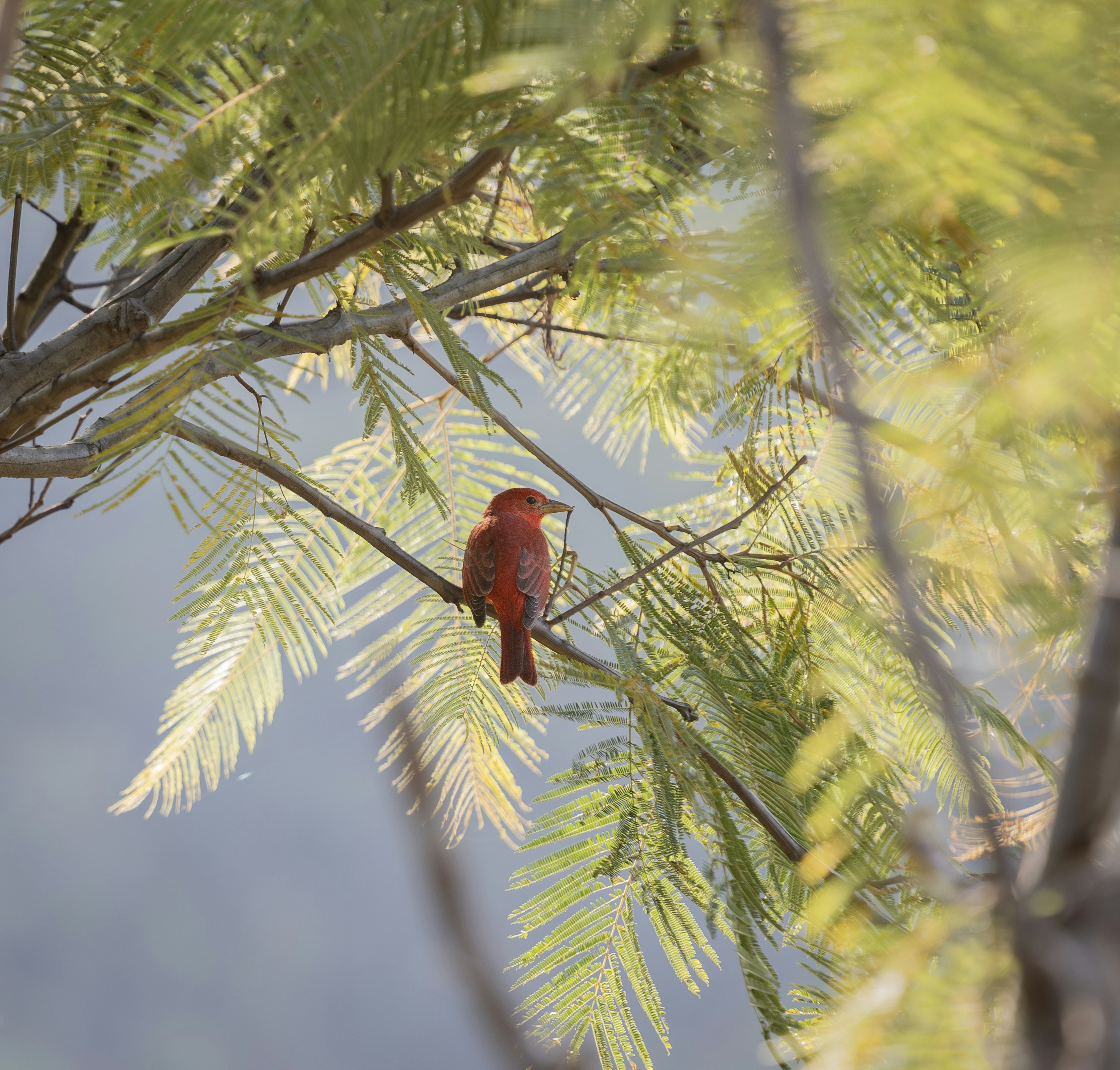 Photo by Alfonso Betancourt with Canon EOS R