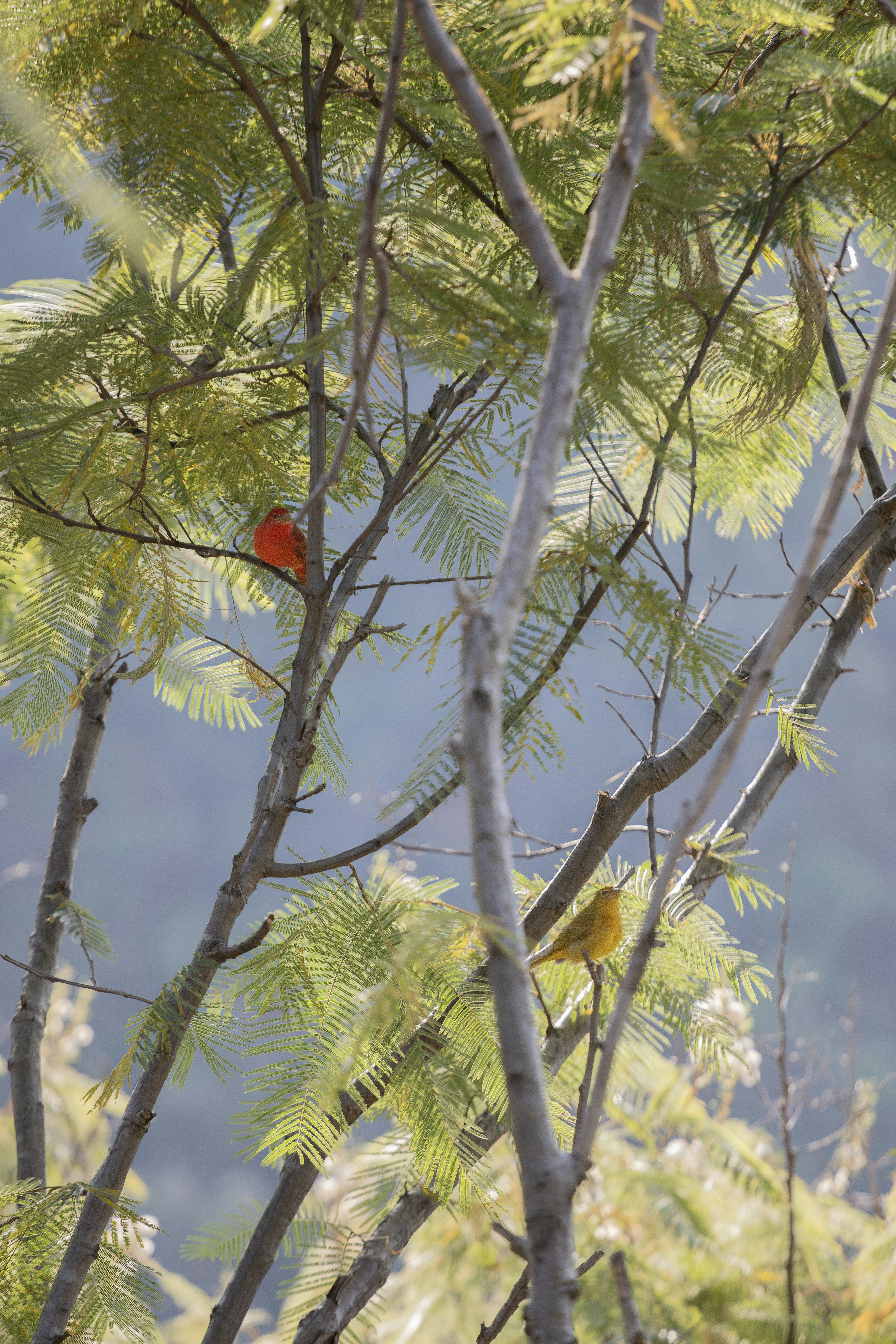 Photo by Alfonso Betancourt with Canon EOS R