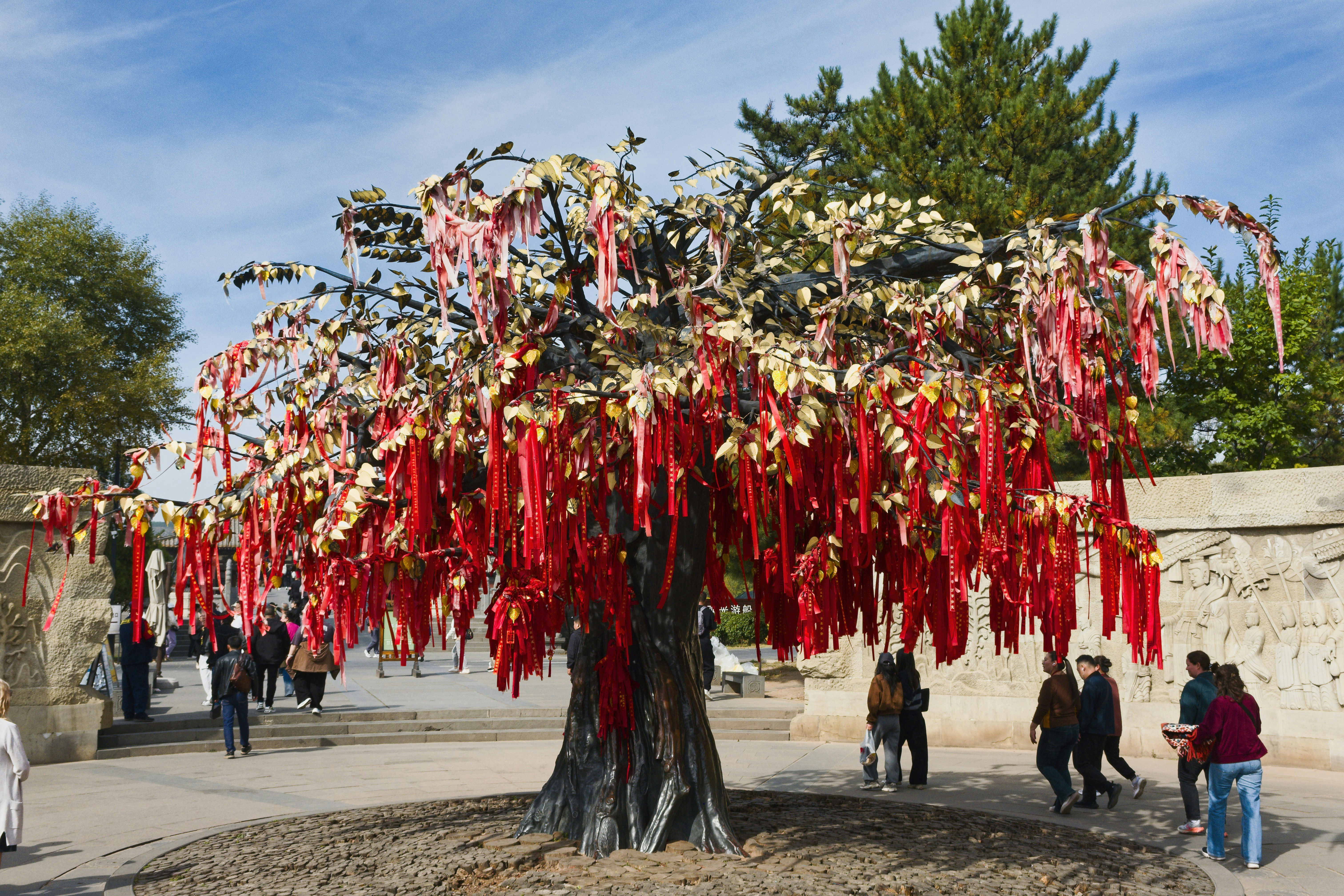 Ribbon Tree: a cascade of crimson strands under a sunlit canopy