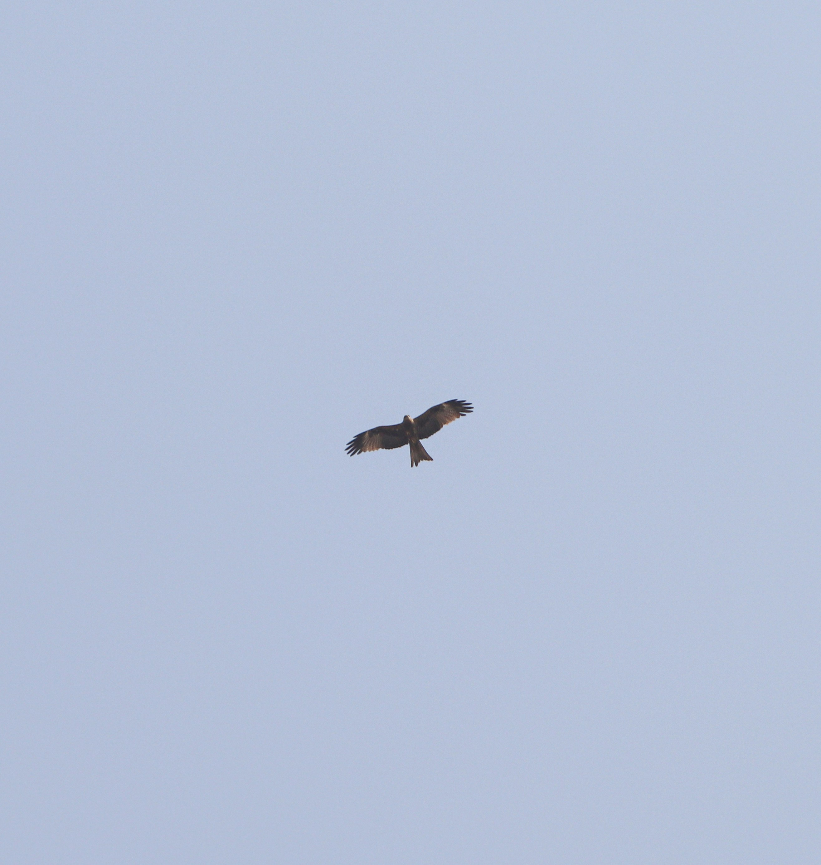 Photo by Mirza Zubair with Canon EOS 200D