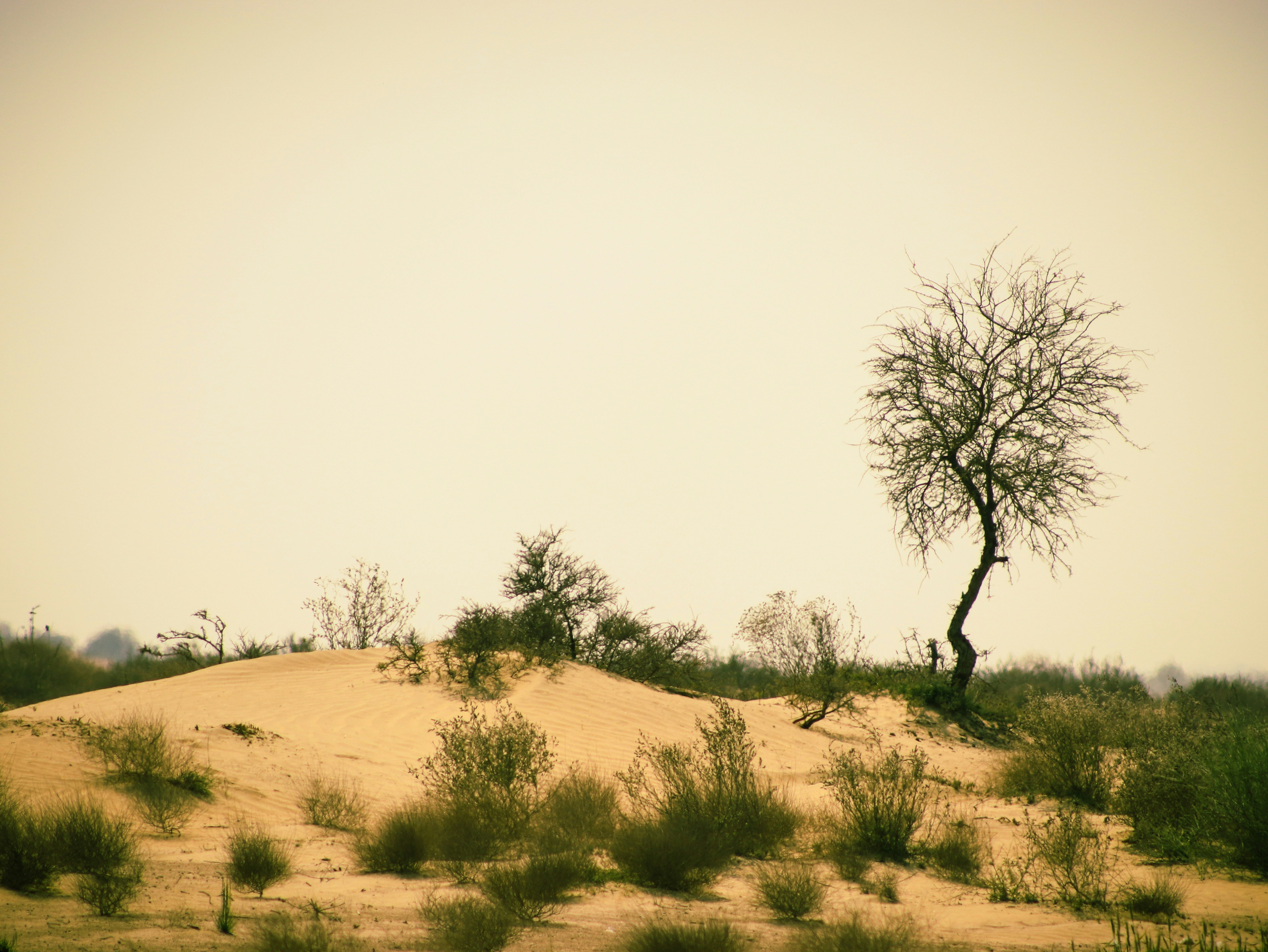 Photo by Mirza Zubair with Canon EOS 200D