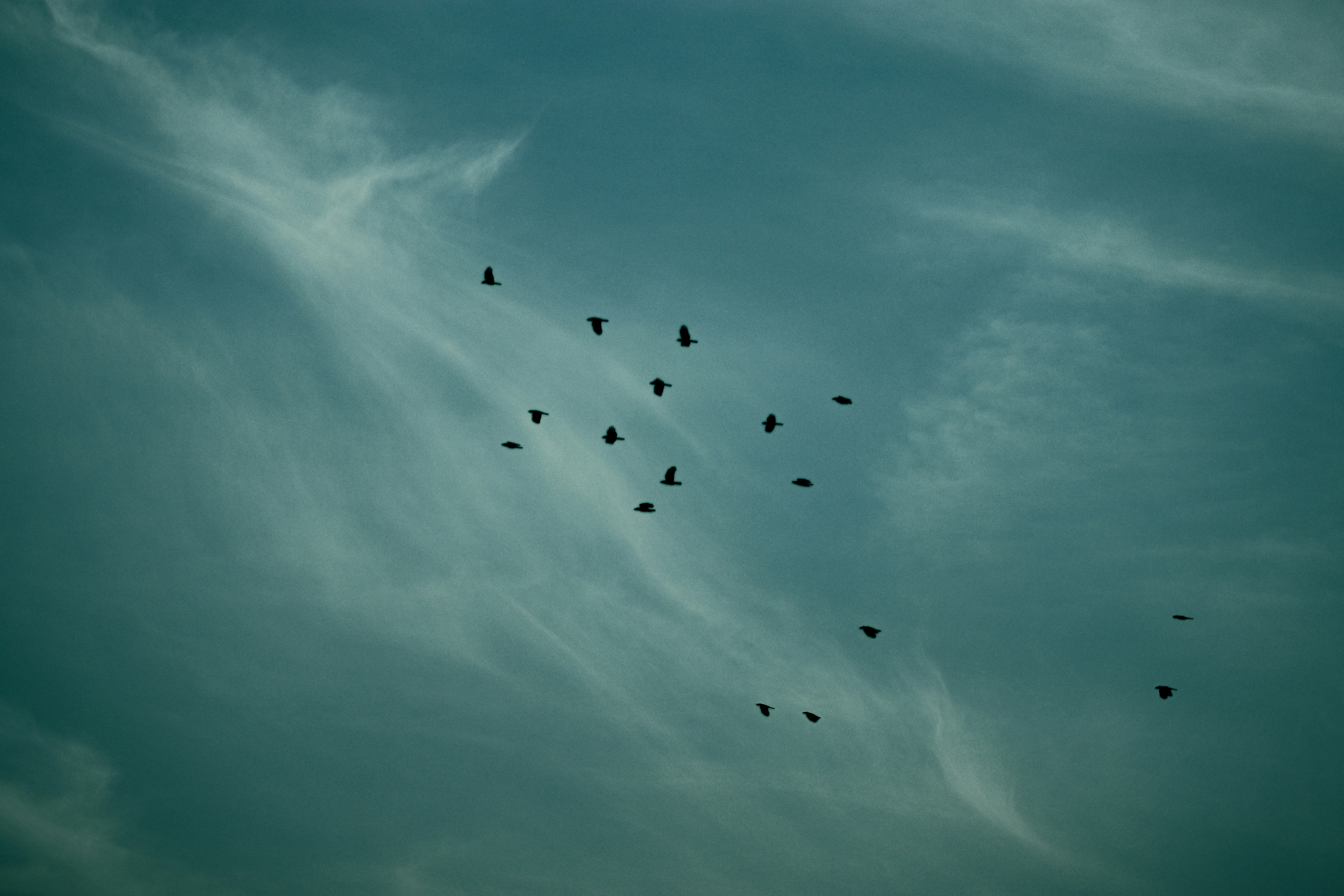 Photo by Mirza Zubair with Canon EOS 200D