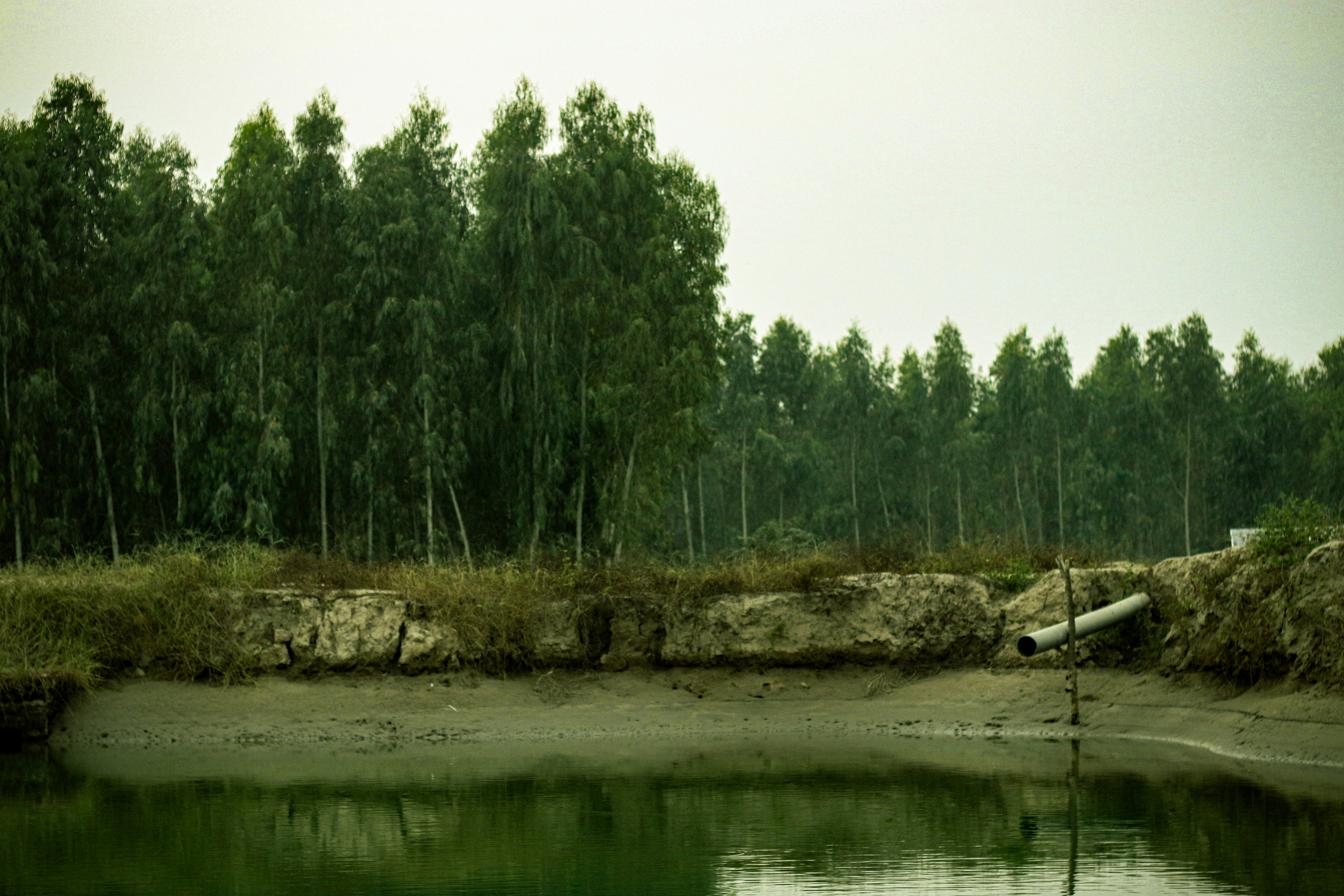 Photo by Mirza Zubair with Canon EOS 200D