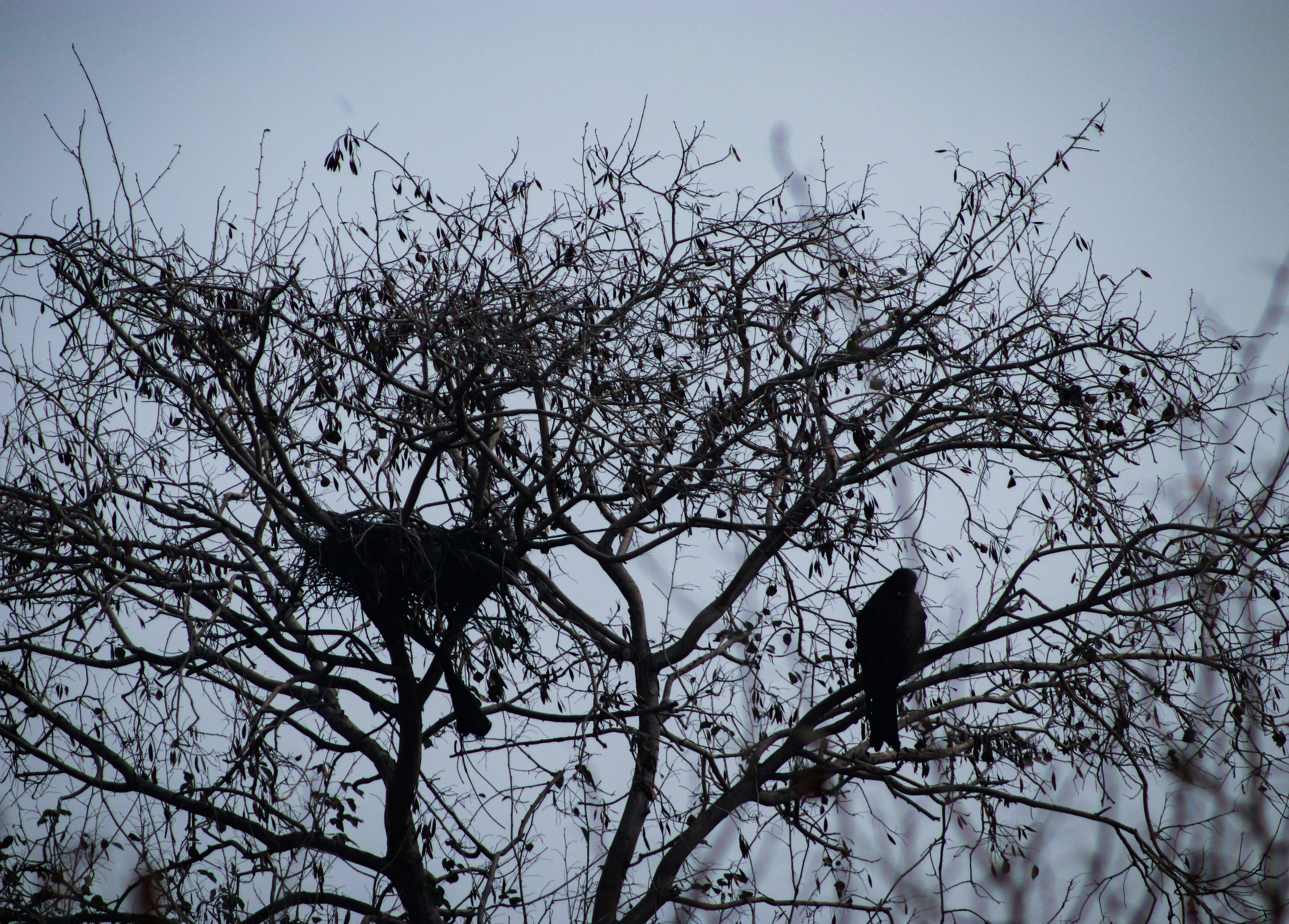 Photo by Mirza Zubair with Canon EOS 200D