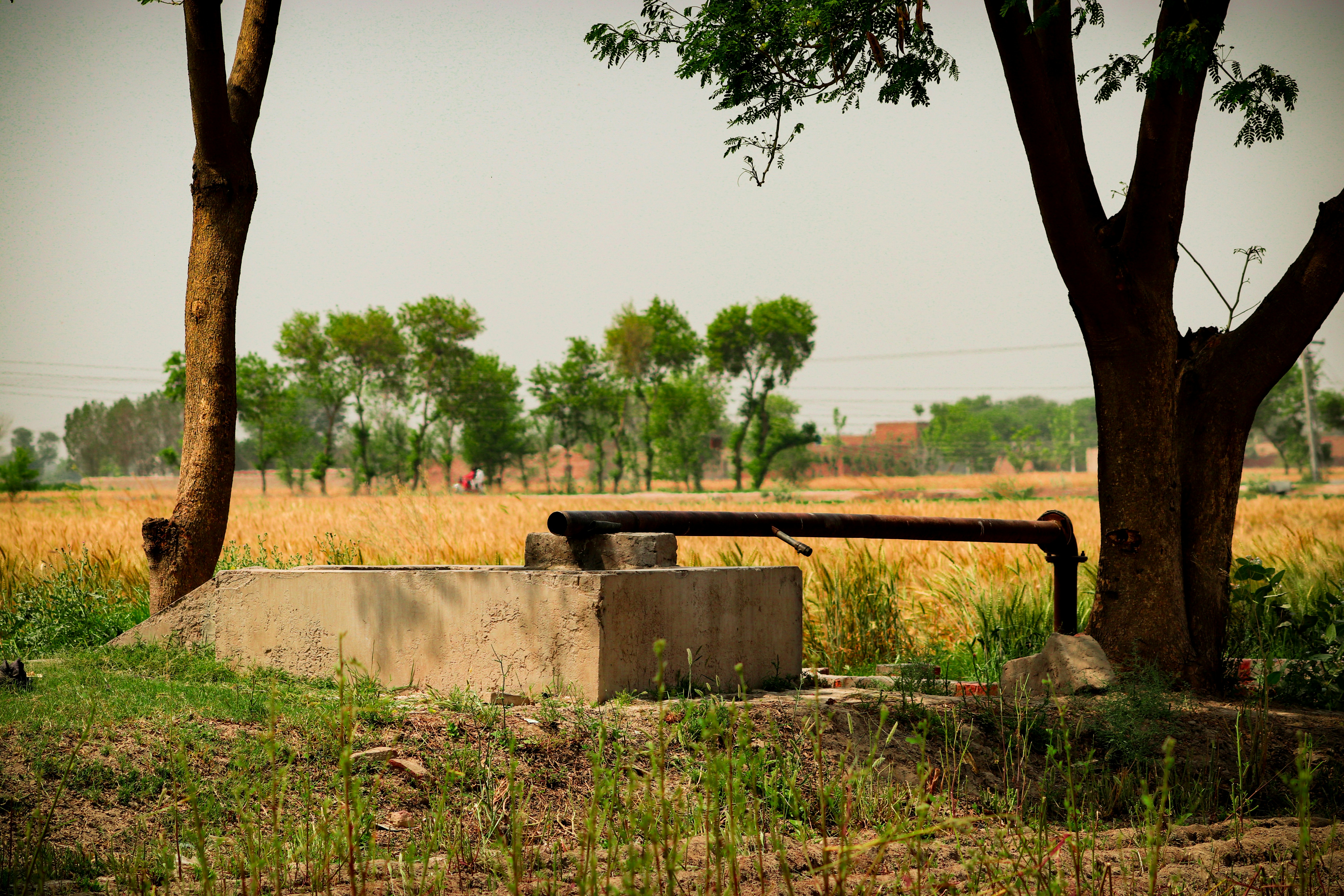 Photo by Mirza Zubair with Canon EOS 200D