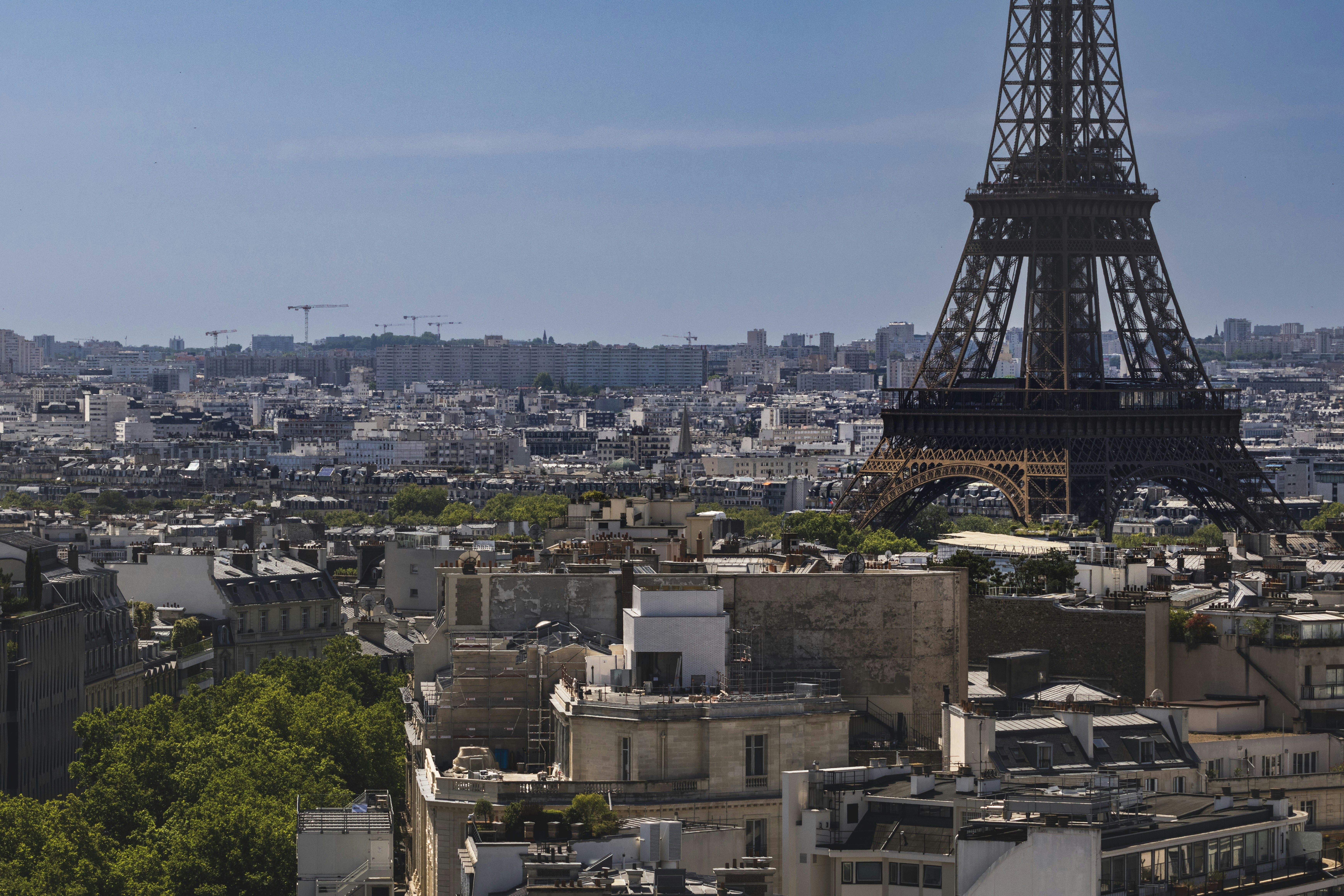 Parisian skyline with the Eiffel Tower peeking over a mosaic of rooftops