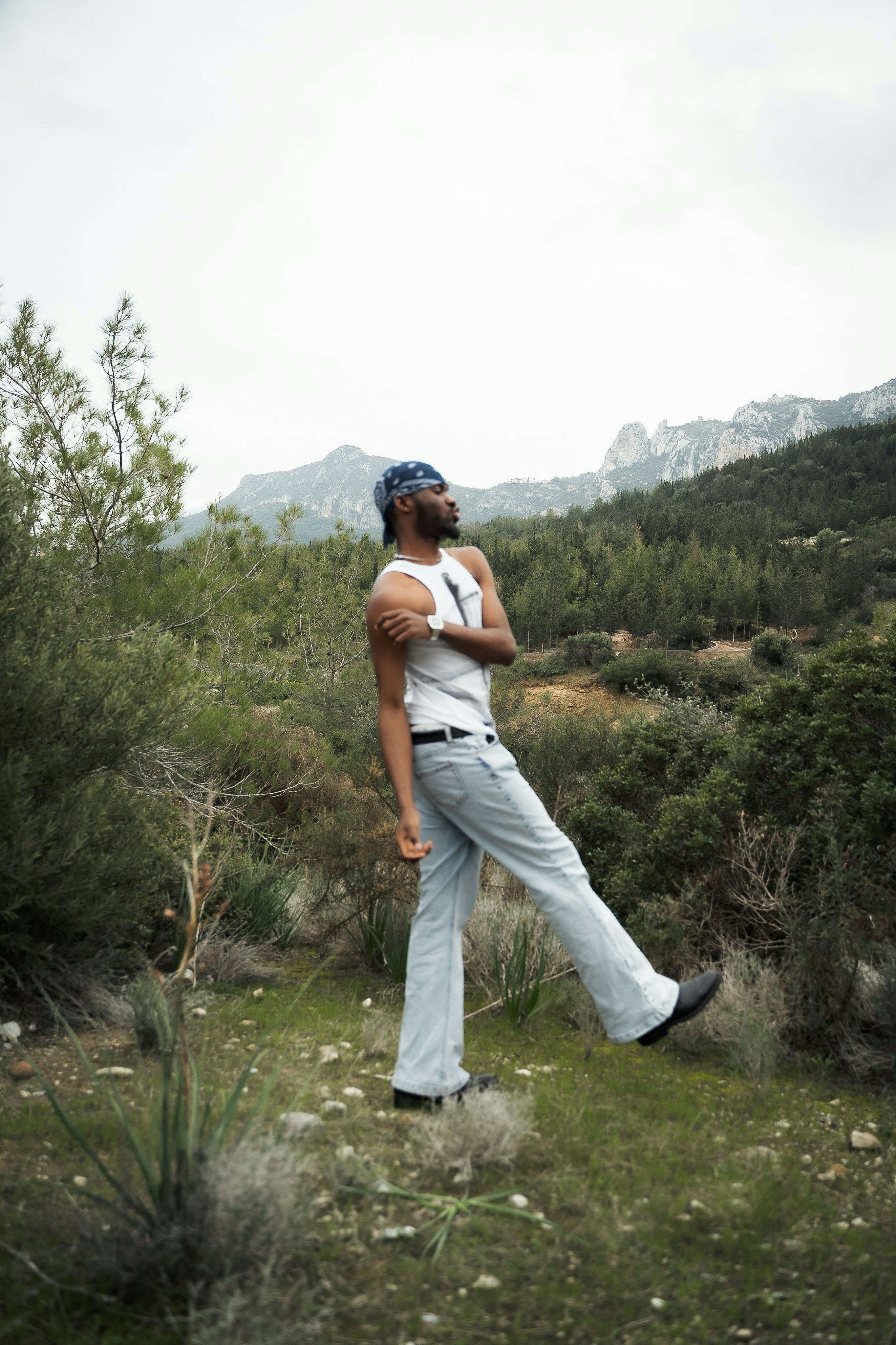 Raised Step, Open Country: Portrait of Movement in a Mountain Field
