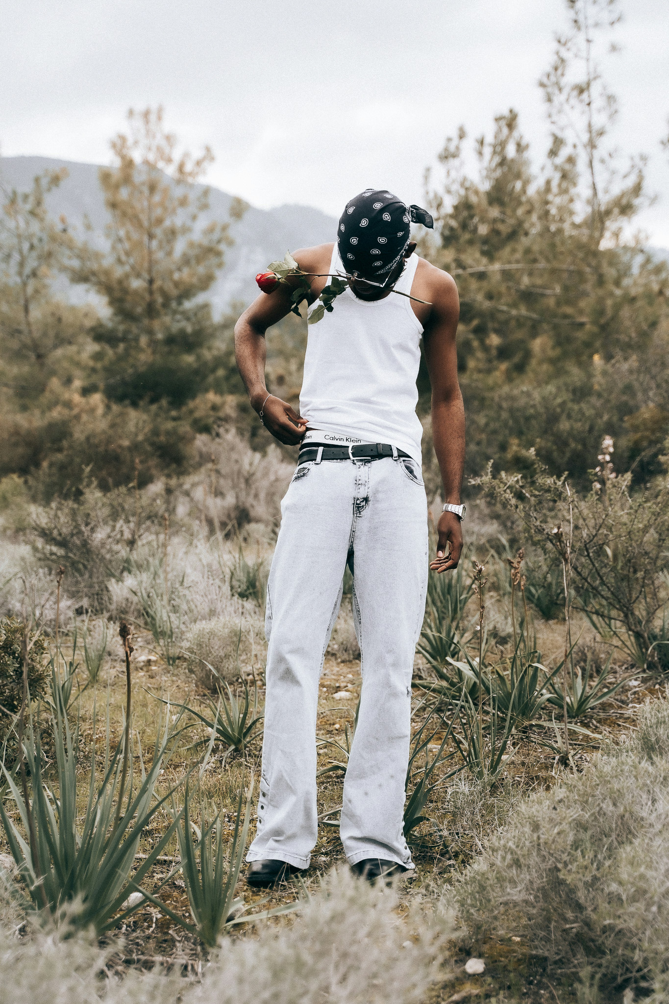 featuring a man holding a rose in a serene outdoor landscape.