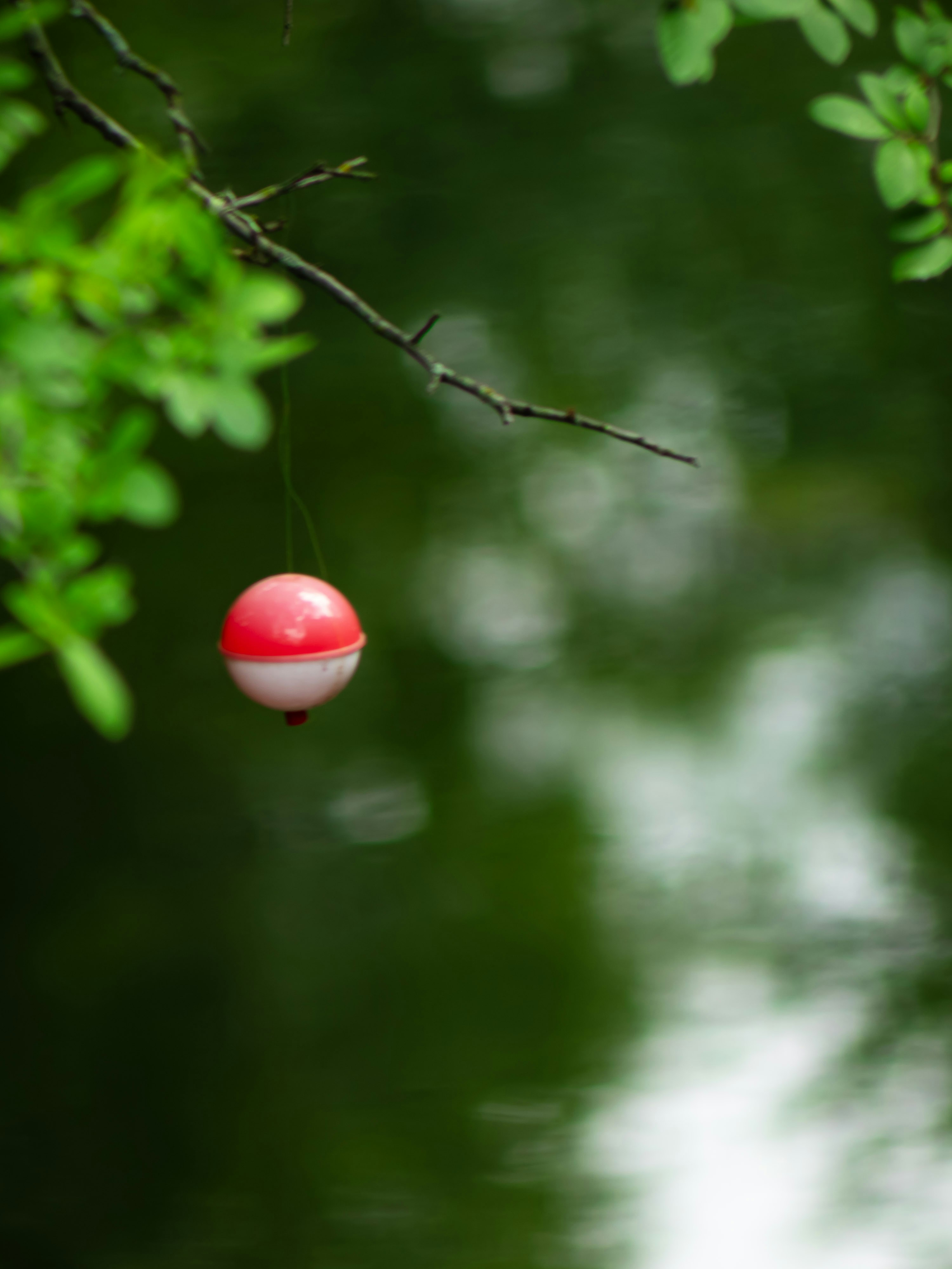 Close up of a fishing bob hanging from a tree branch right above a large body of water.