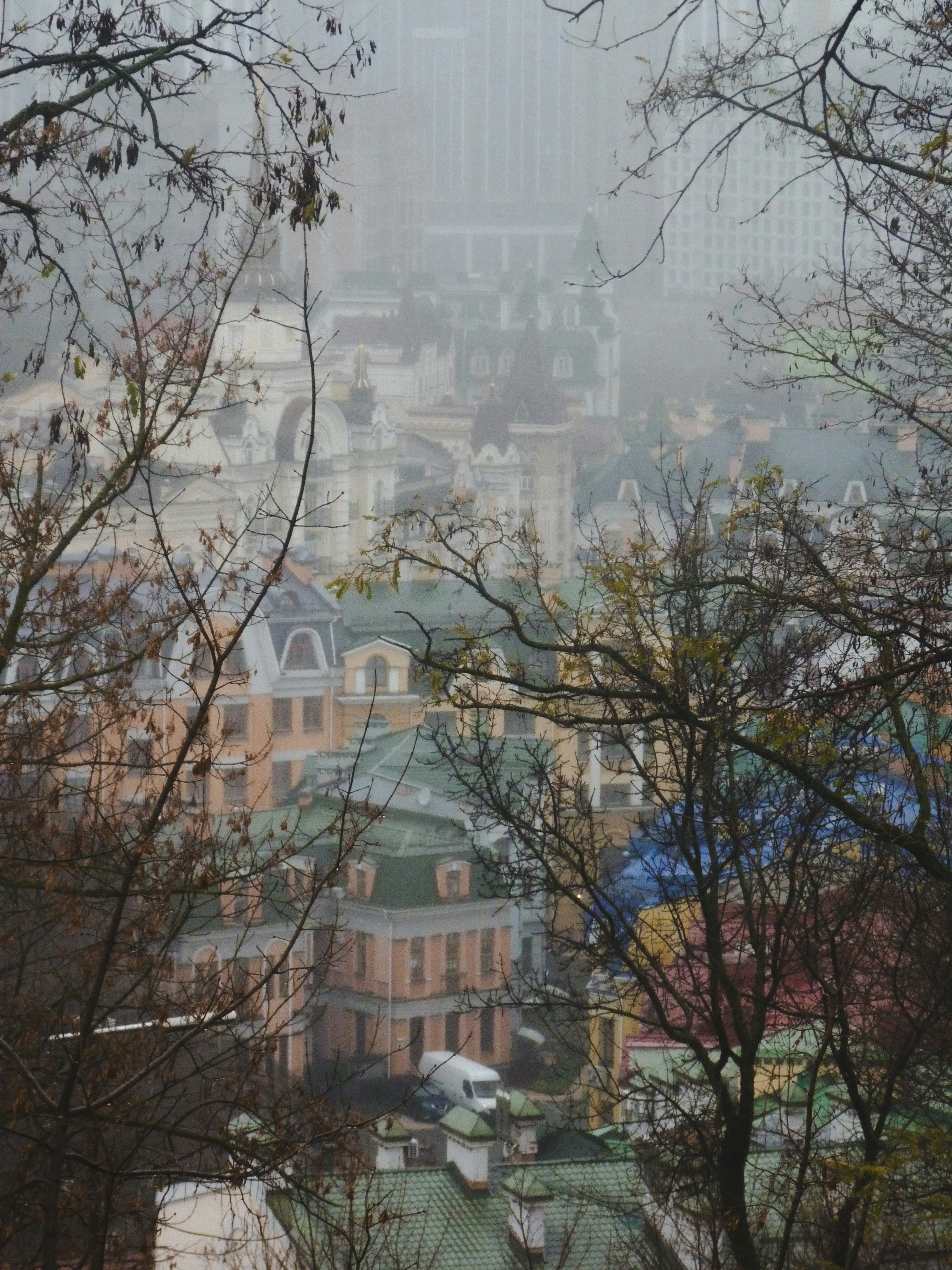 Photo by Ekaterina Suleymanova with Panasonic Lumix FZ45