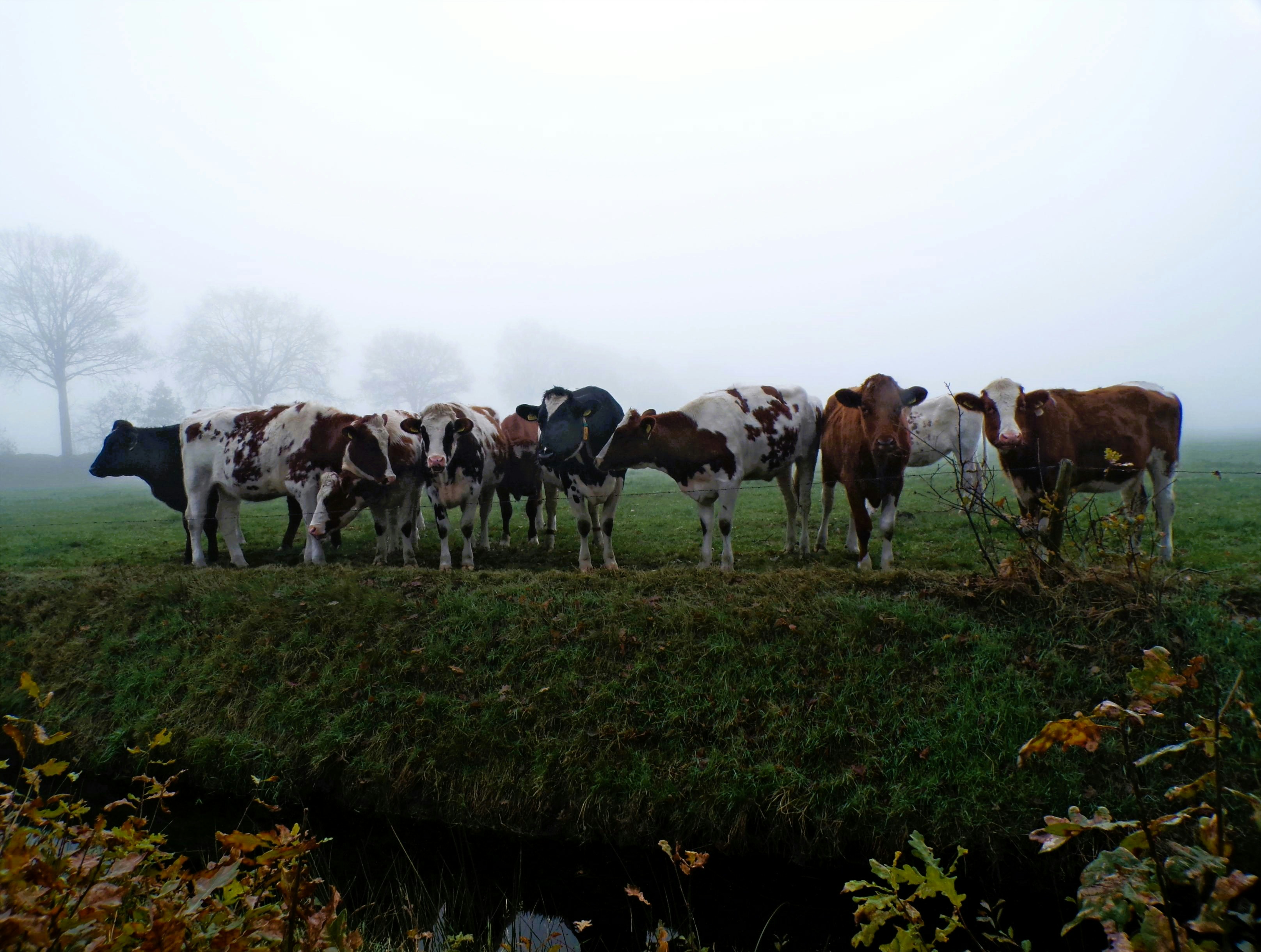 Sample photo from Kodak PixPro AZ425