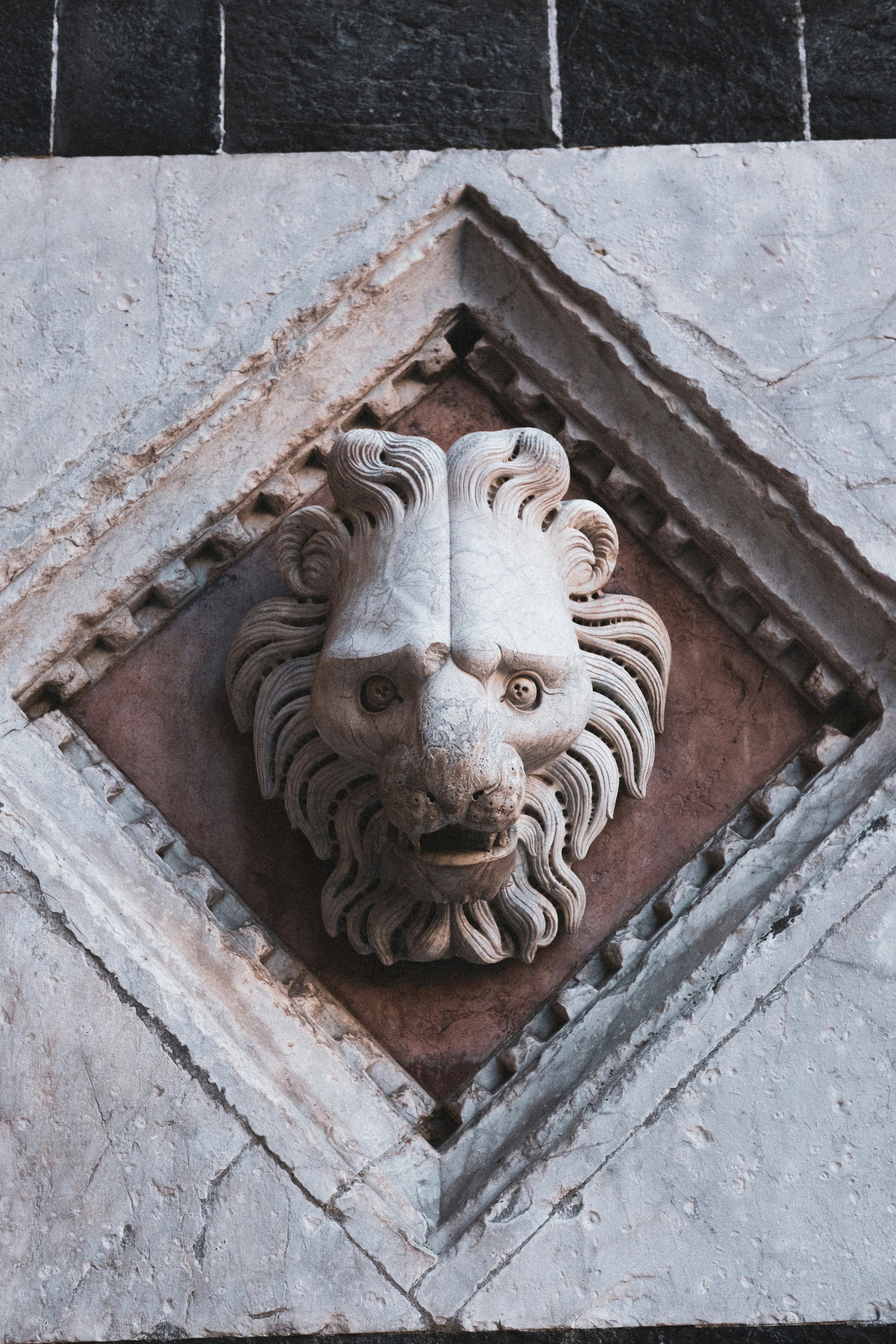 Photo by Jonah Townsley with Fujifilm X-T5