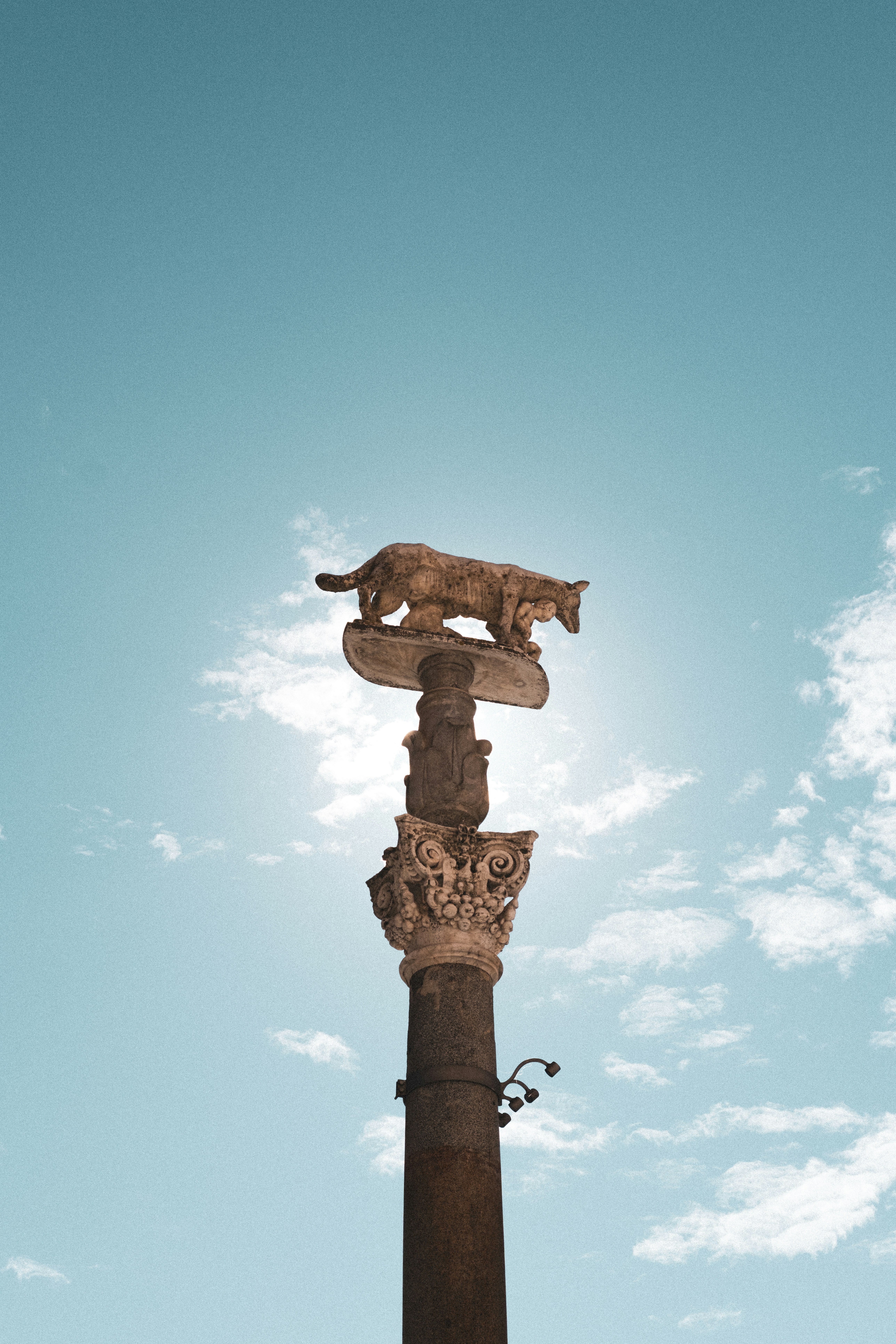 Lion on Ionic Capstone: A Skyward Monumental Silhouette