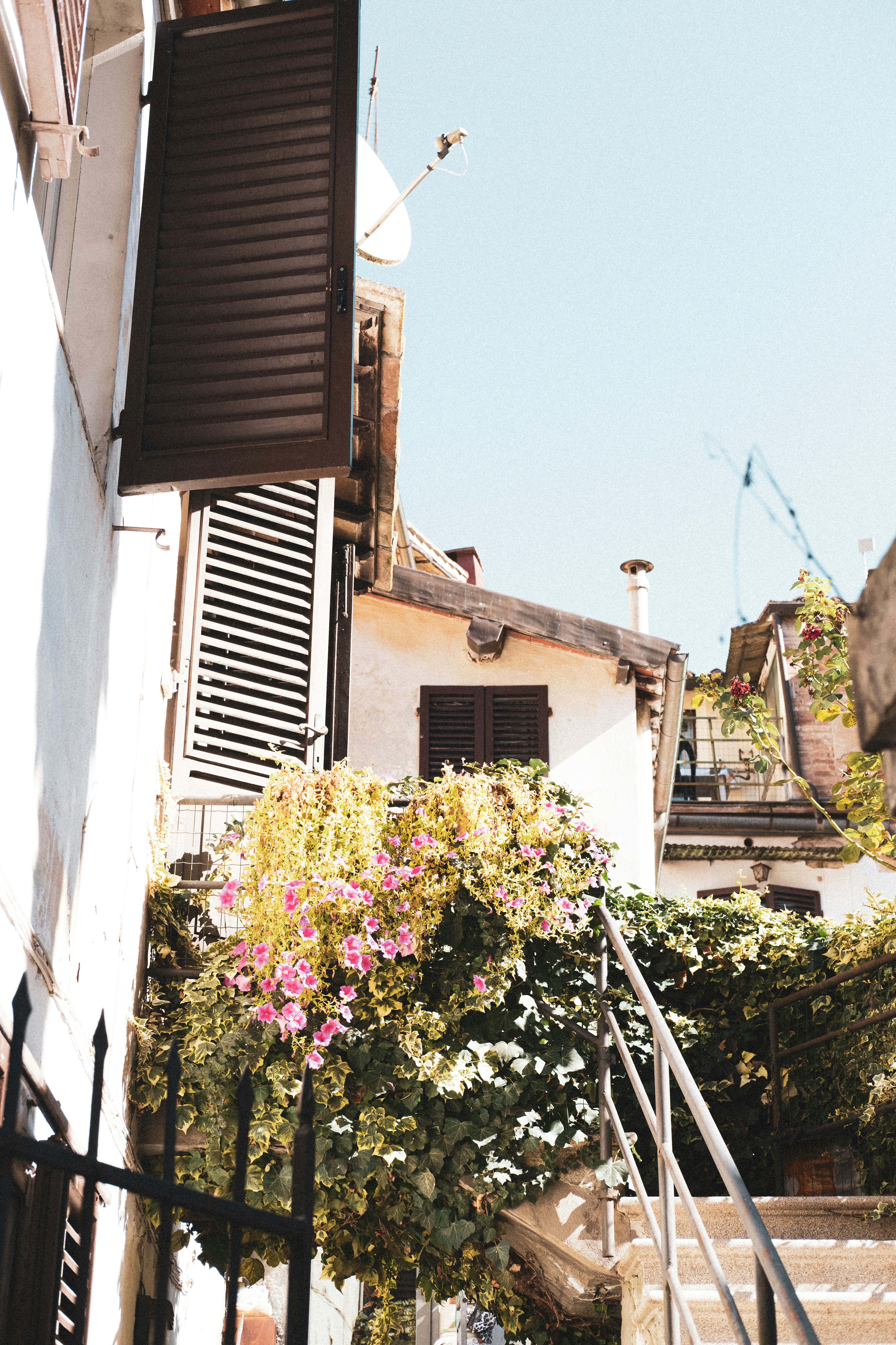 Photo by Jonah Townsley with Fujifilm X-T5