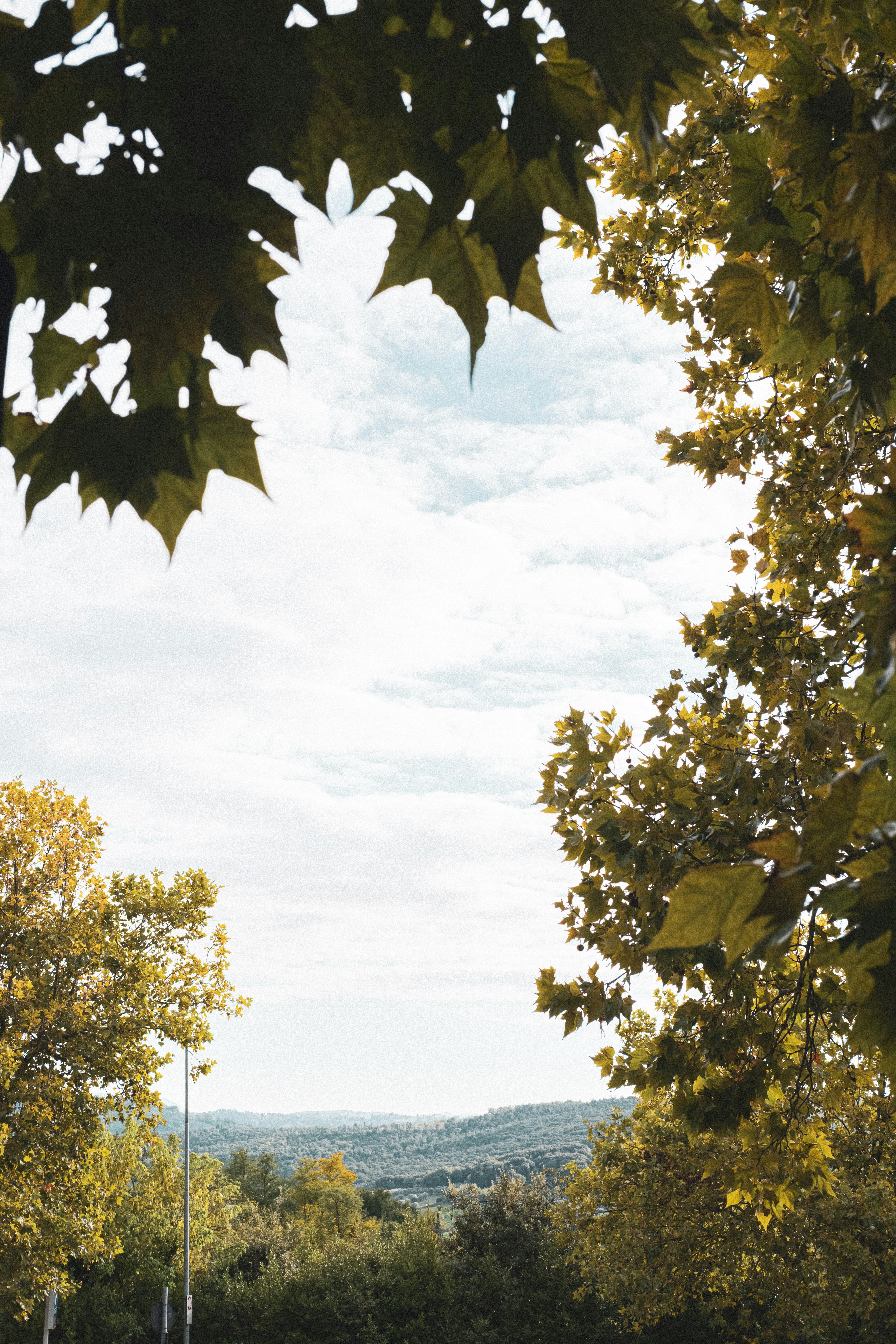 Photo by Jonah Townsley with Fujifilm X-T5