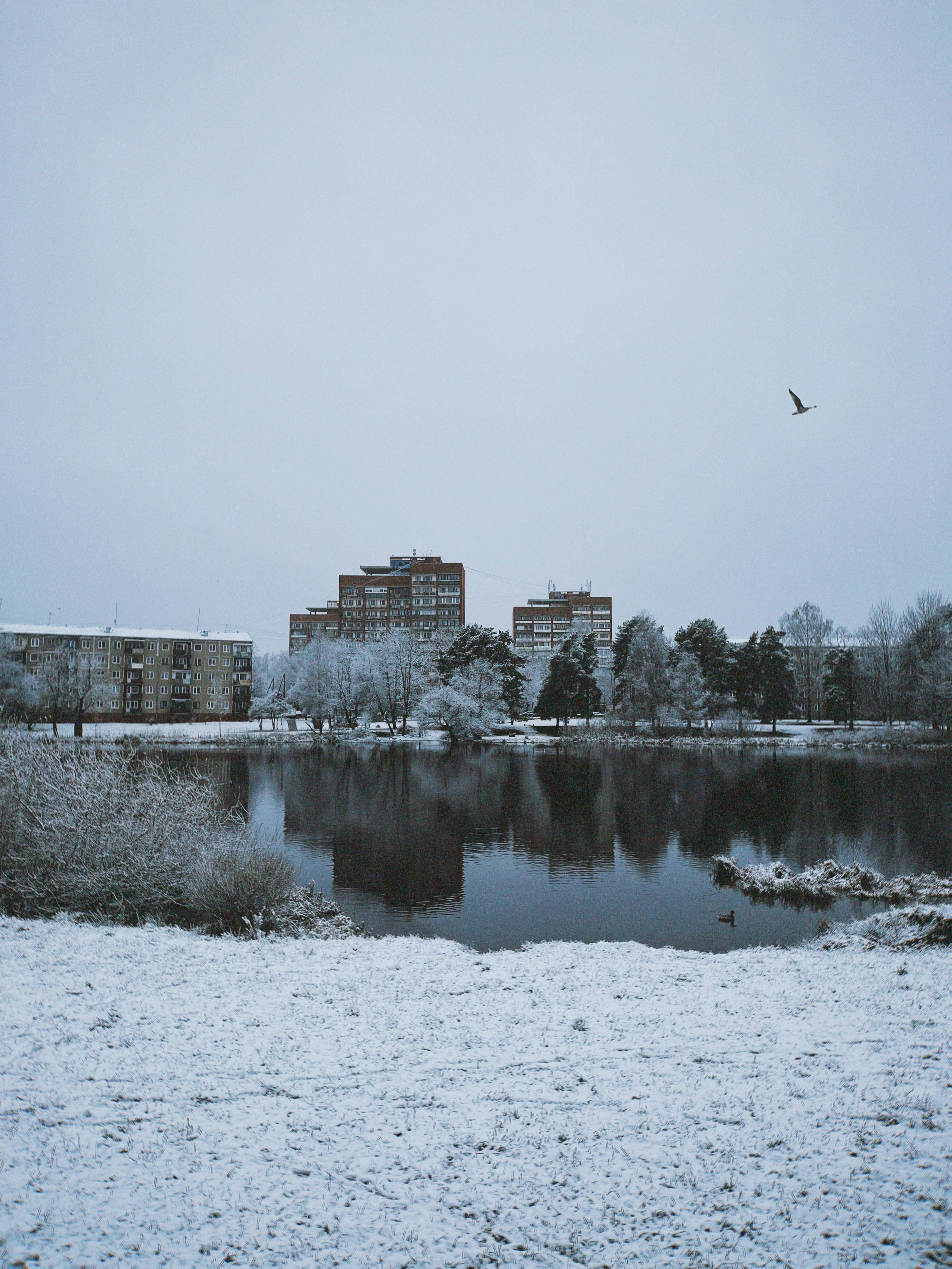 Photo by CARTIST with Apple iPhone 13 Pro