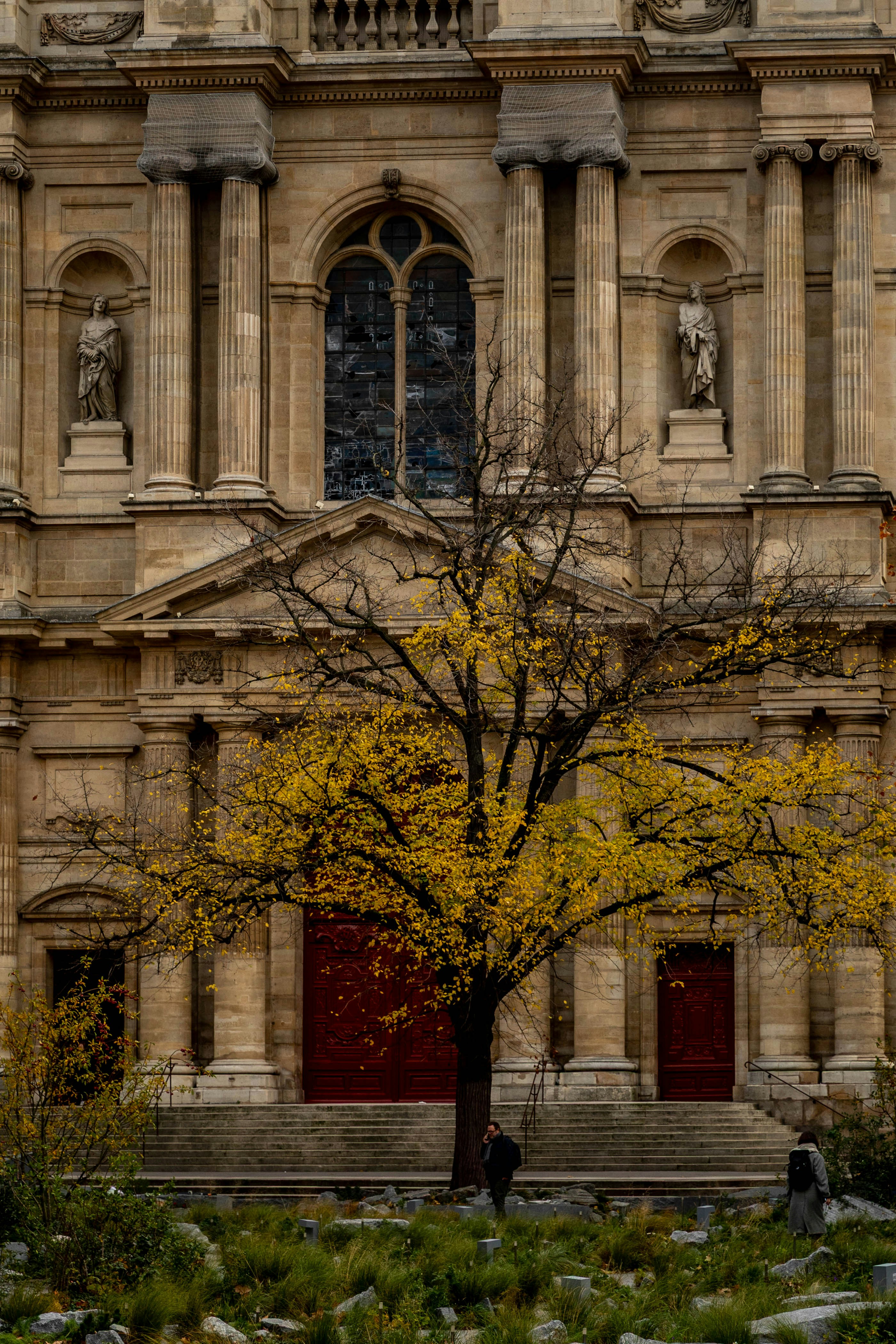 Autumn Tree Framing a Historic Facade