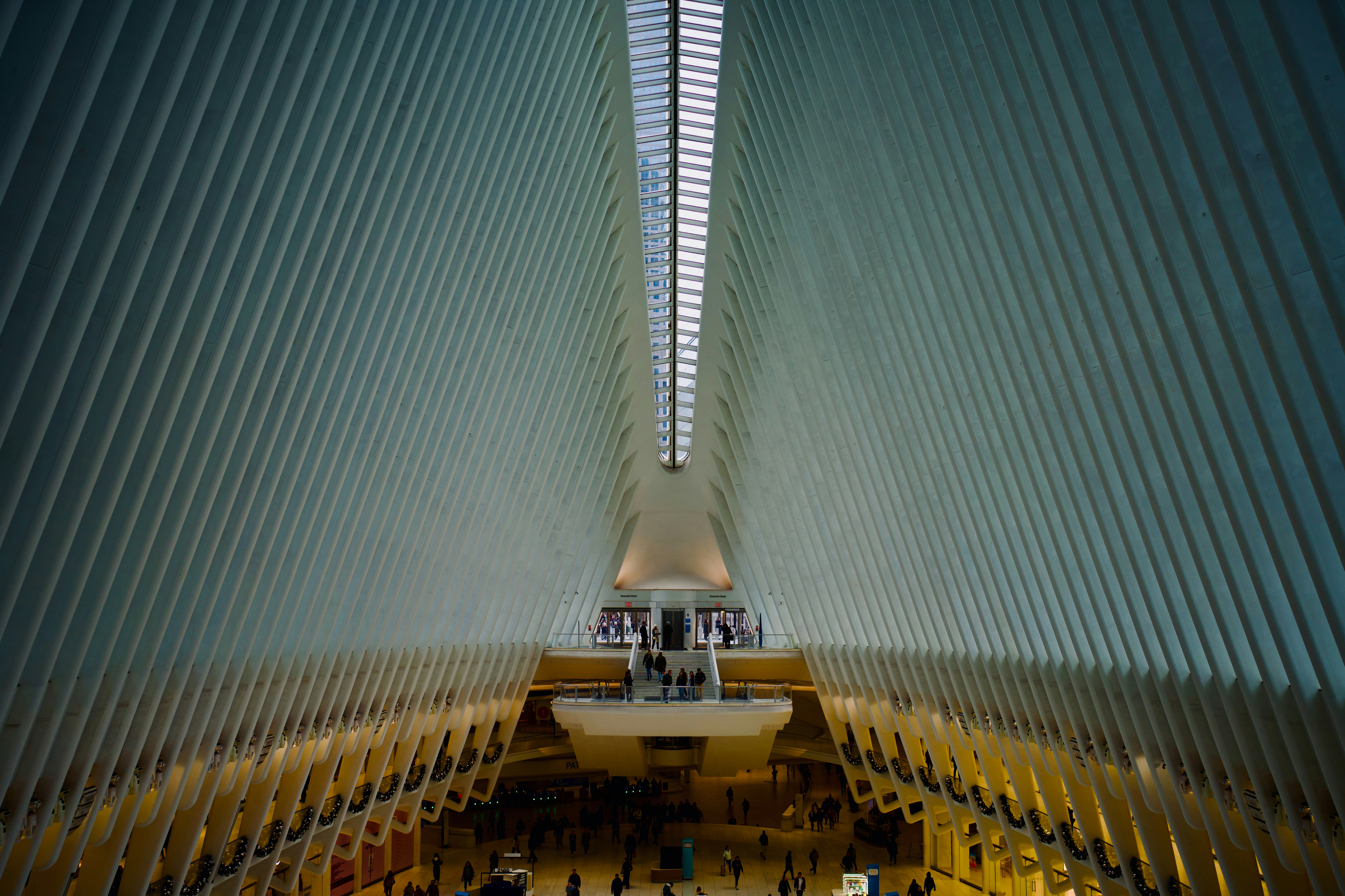 Photo by Joey Zhou with Sony Alpha 7R V