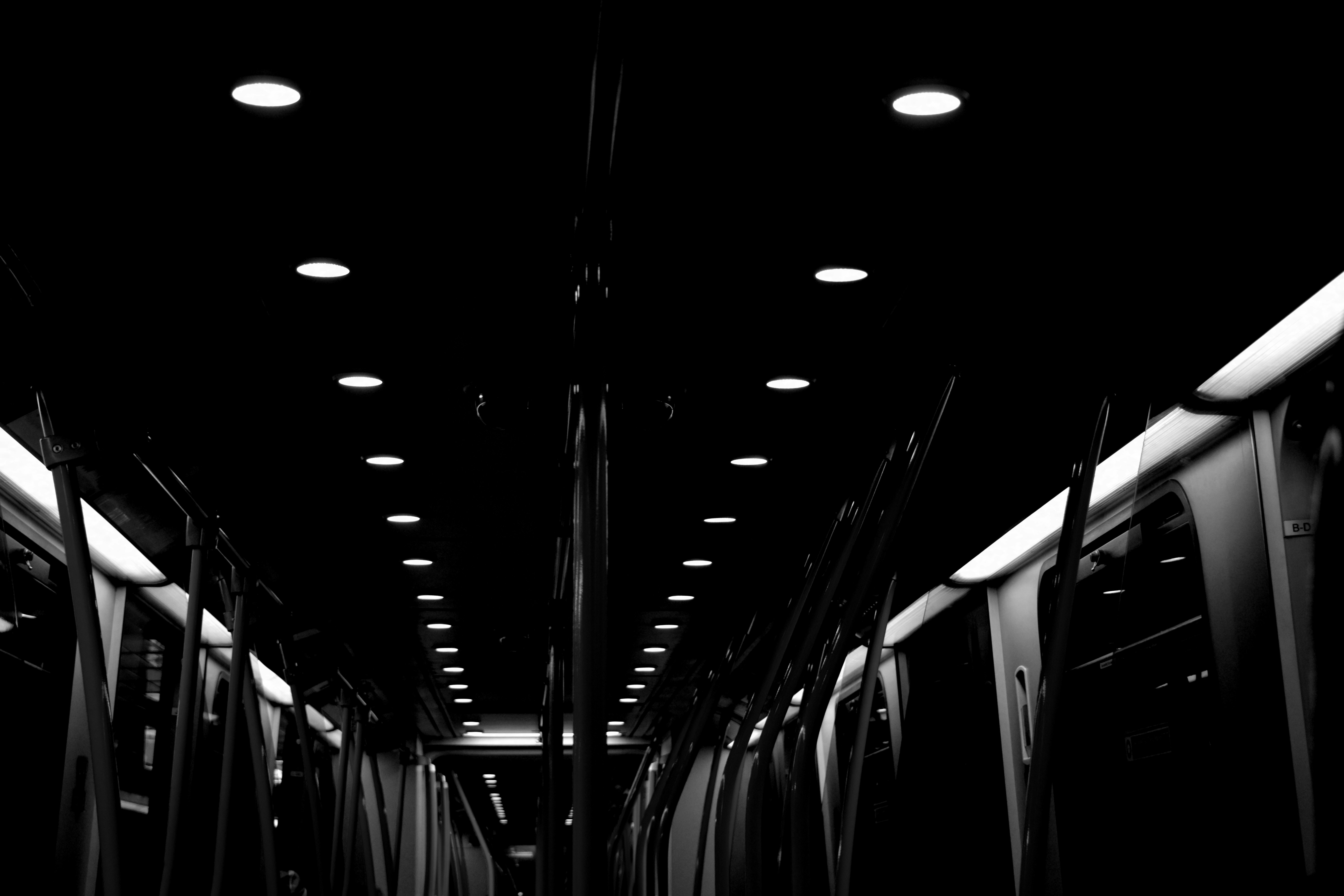 Photo by Ruth Bourke with Nikon D3400