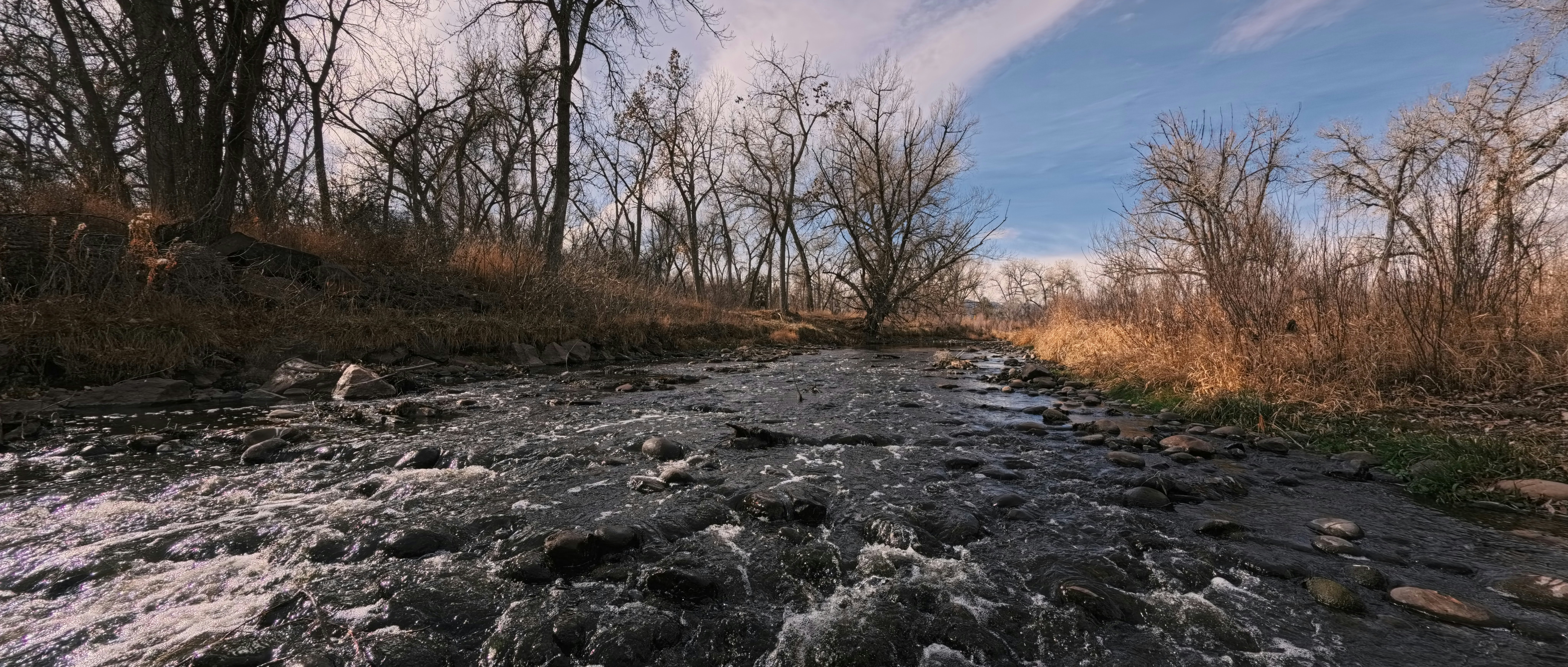 Rocky stream bed with bare trees and blue sky