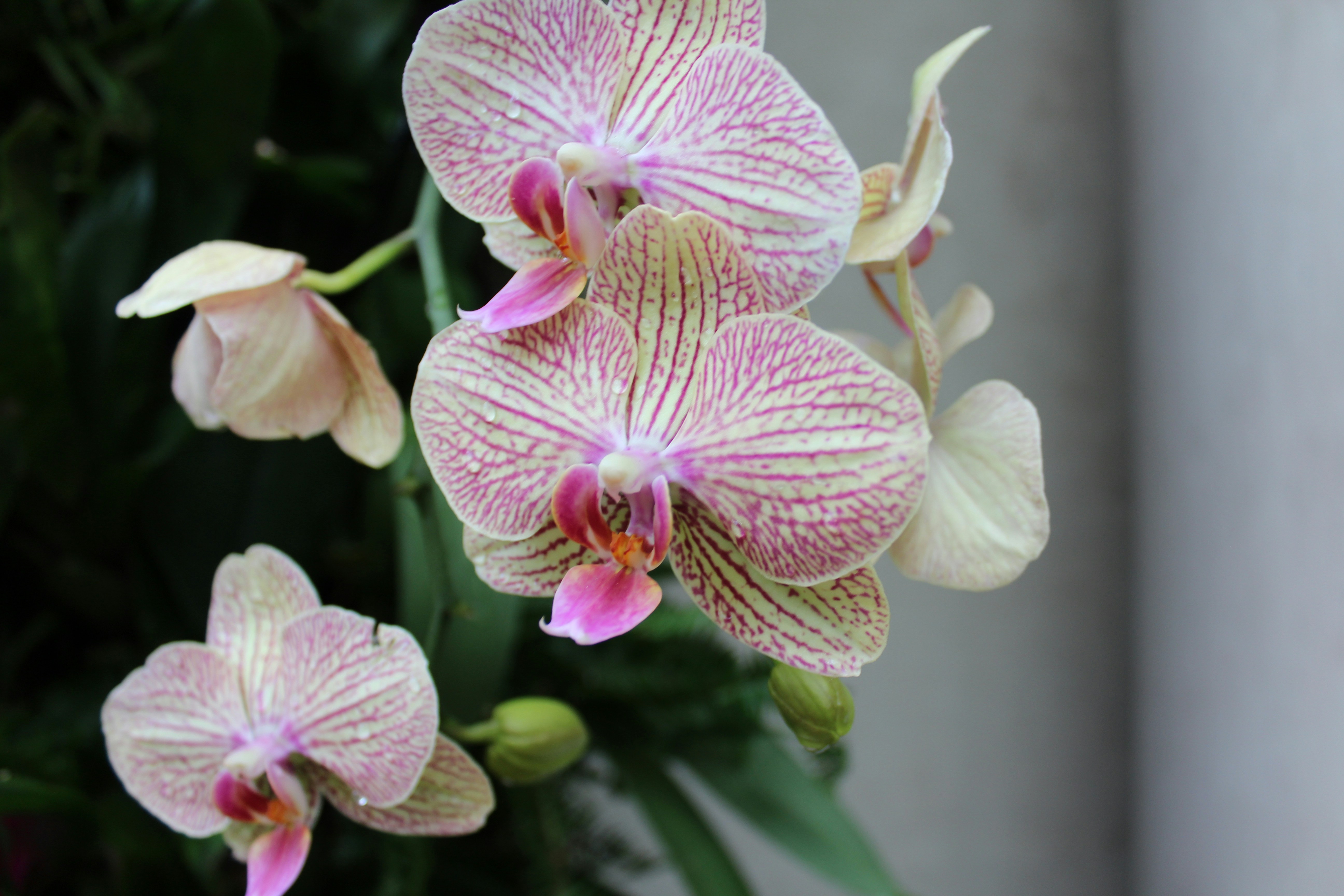 Photo by Jackson Wengler with Canon EOS 1200D