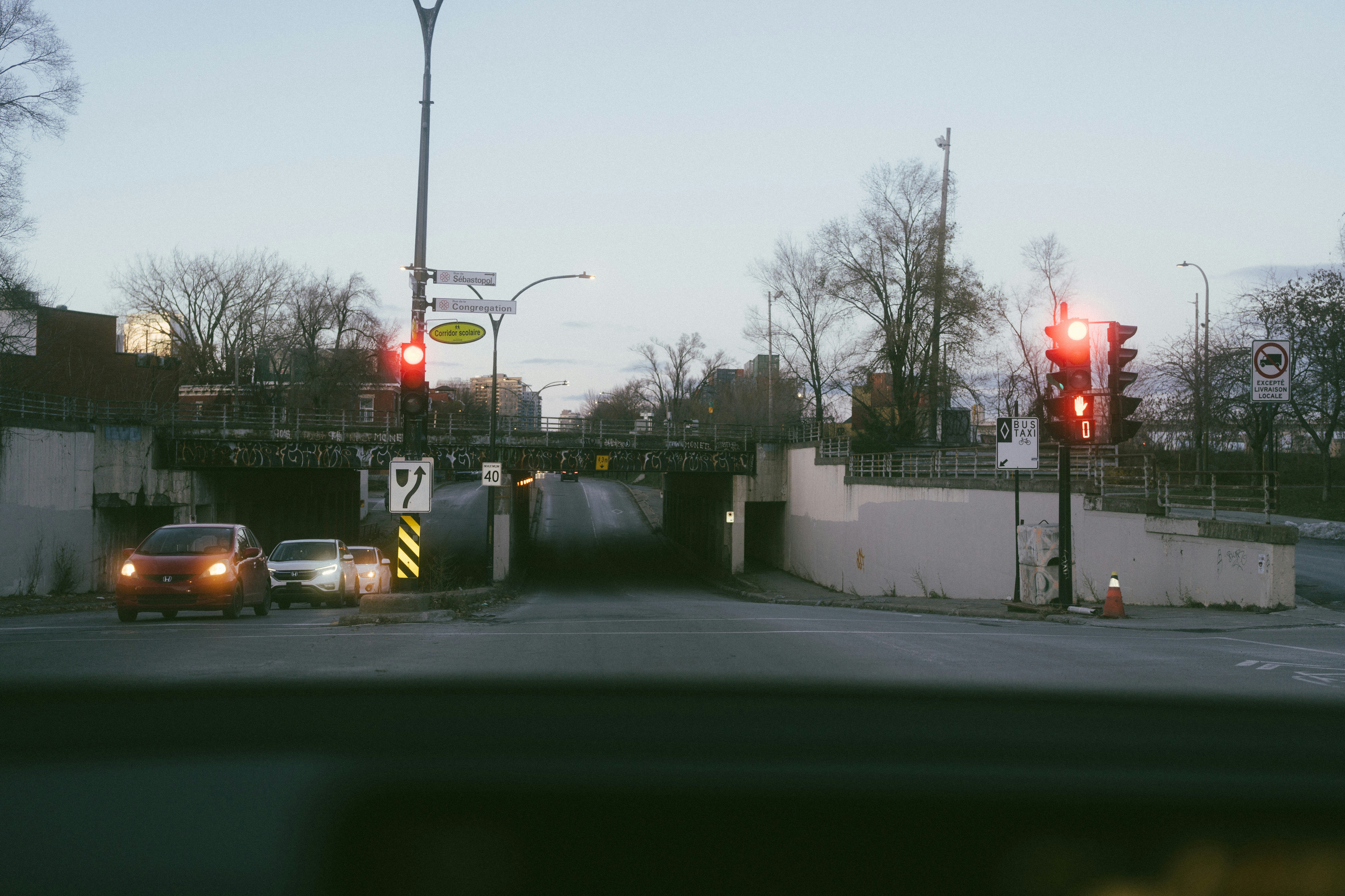 Photo by Olivier Amyot with Sony Alpha 7C II