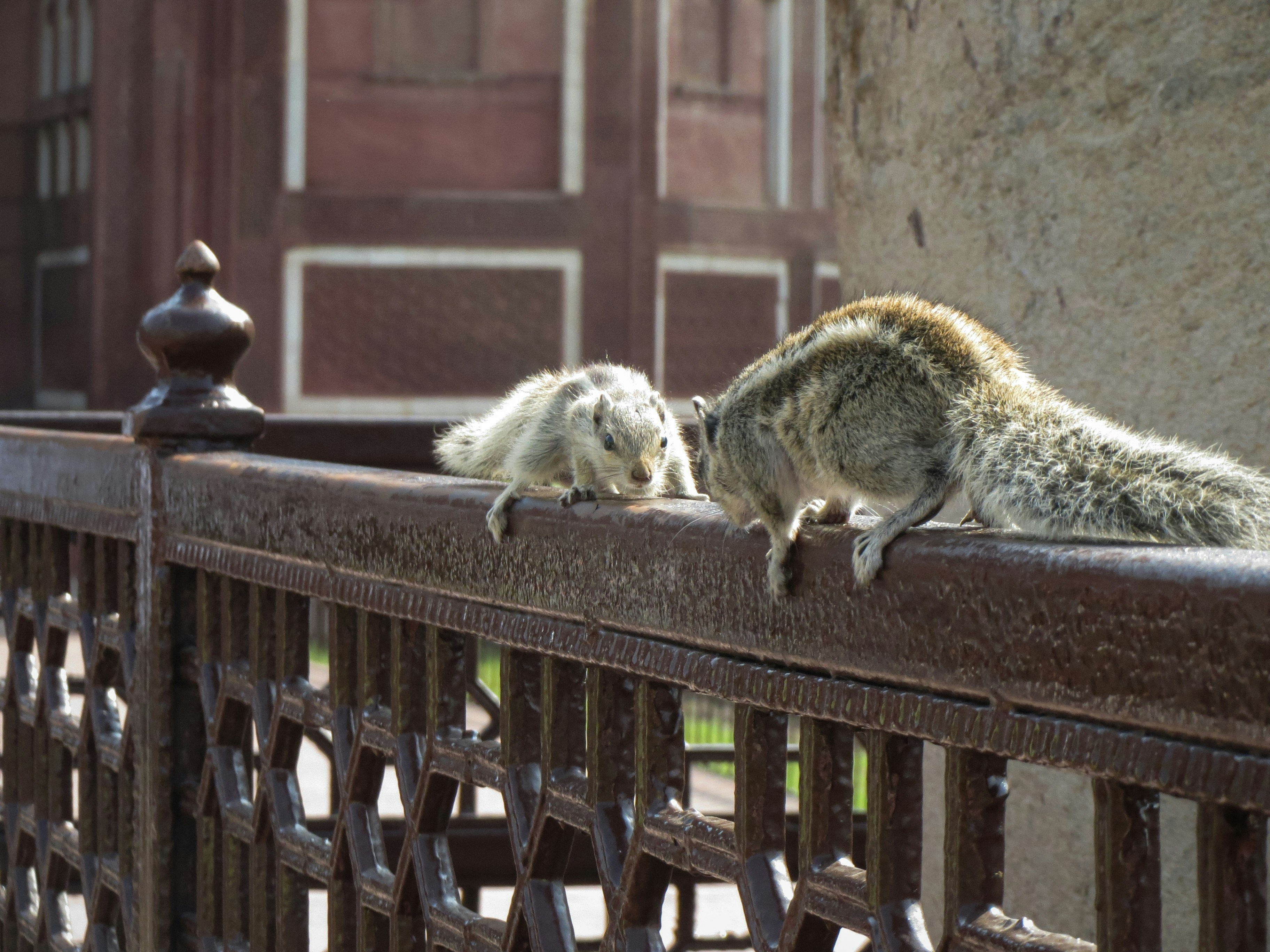 Resting Acrobats on a Weathered Railing