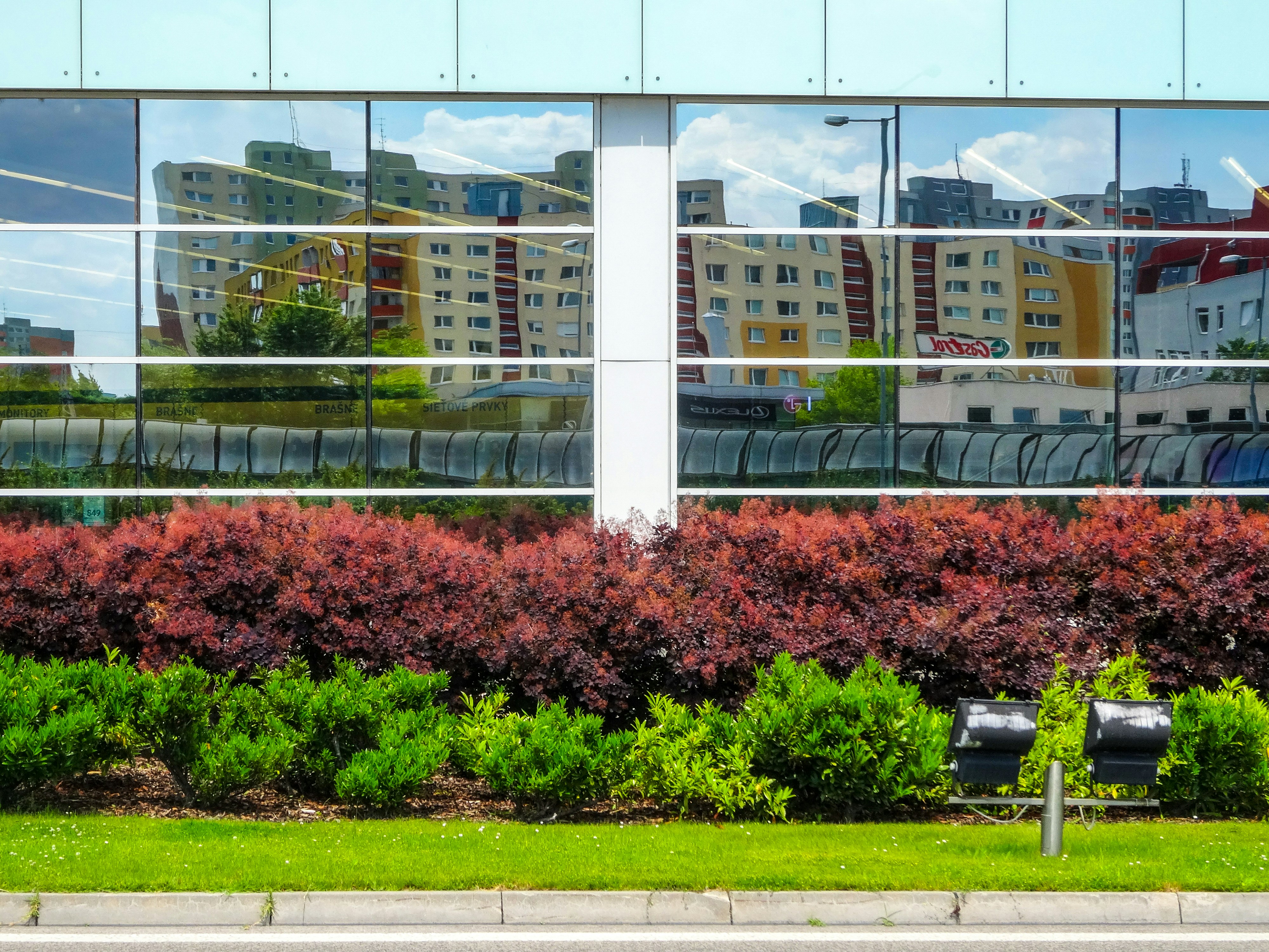 Photo by Nikolai Kolosov with Sony Cyber-shot WX300