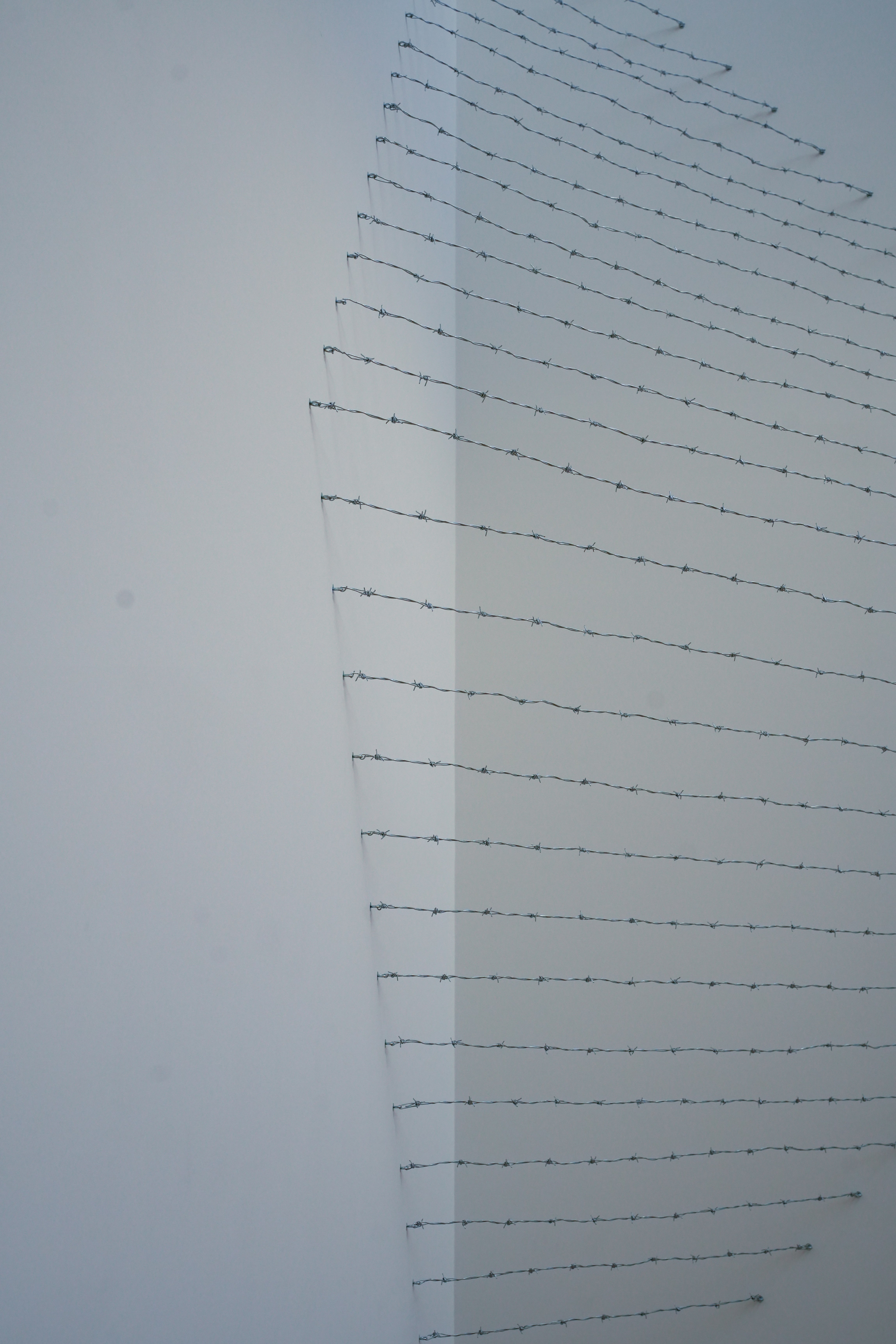 Photo by Yimeng Zhao with Sony Alpha 7C II