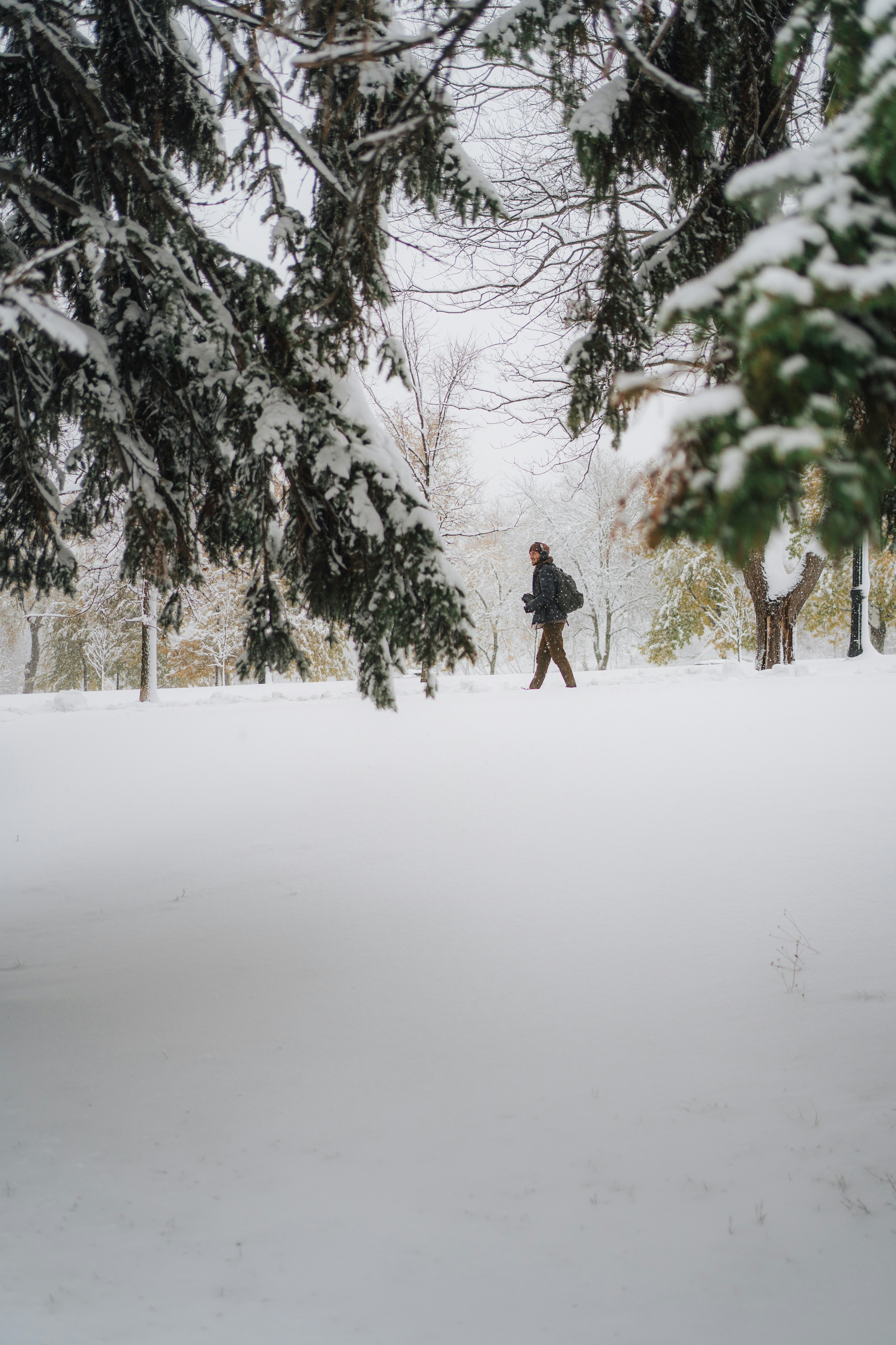 Snowbound Stroll: A lone figure pacing the quiet park
