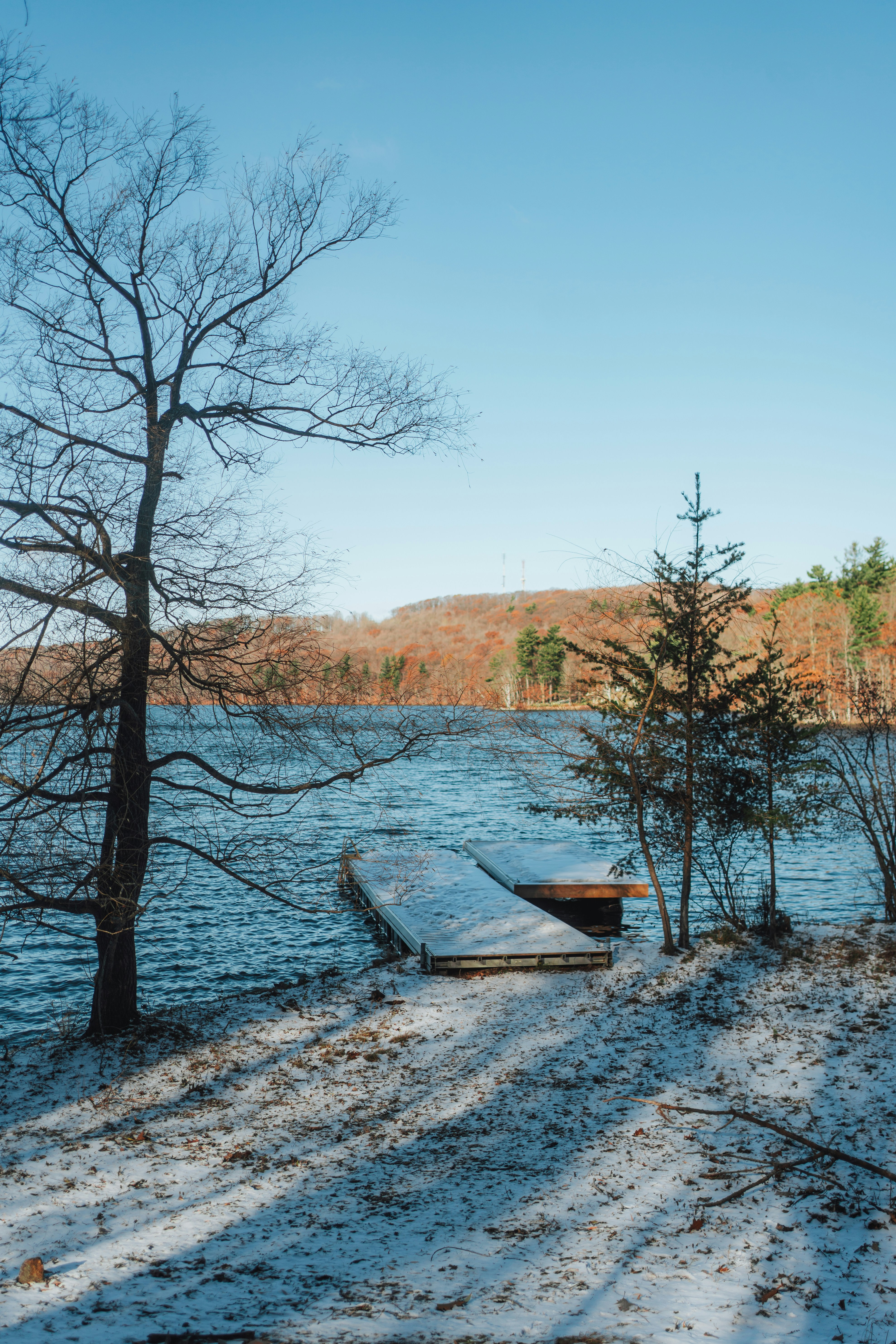 Winter Shoreline Quiet: A Bare Tree Reaches Over a Snow-Dusted Dock
