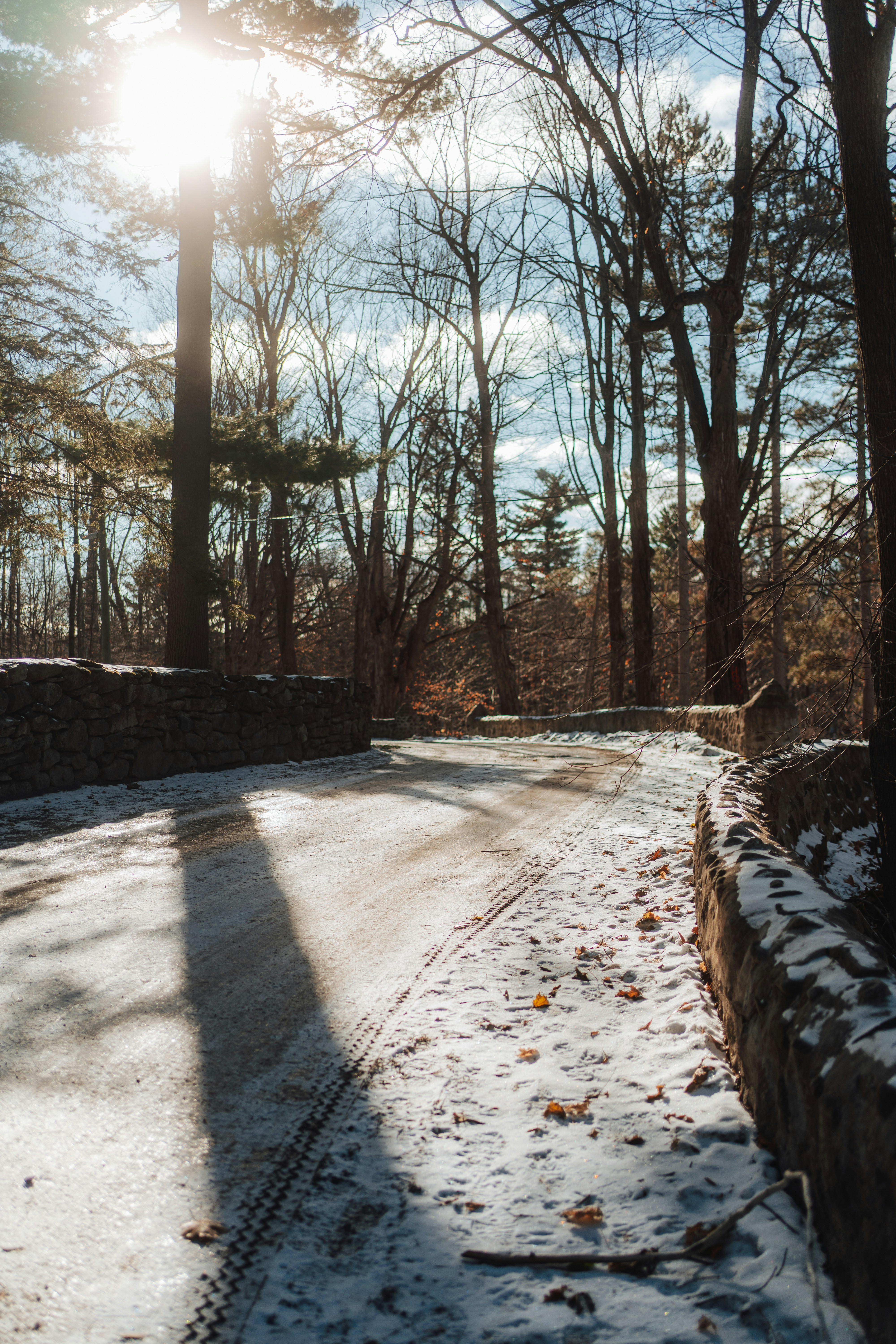 Photo by Maëva Vigier with Sony Alpha 7 III