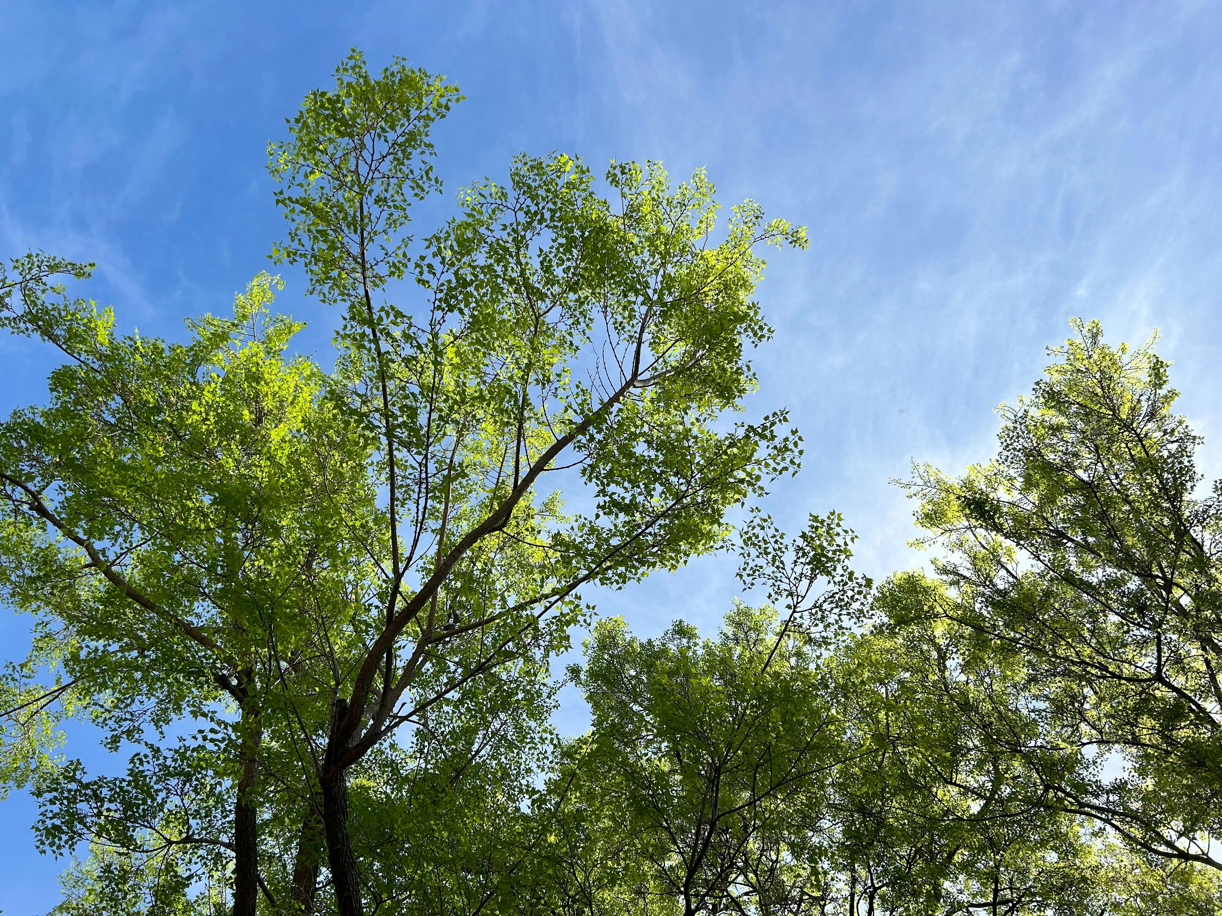 Photo by Sam Ballard with Apple iPhone 14