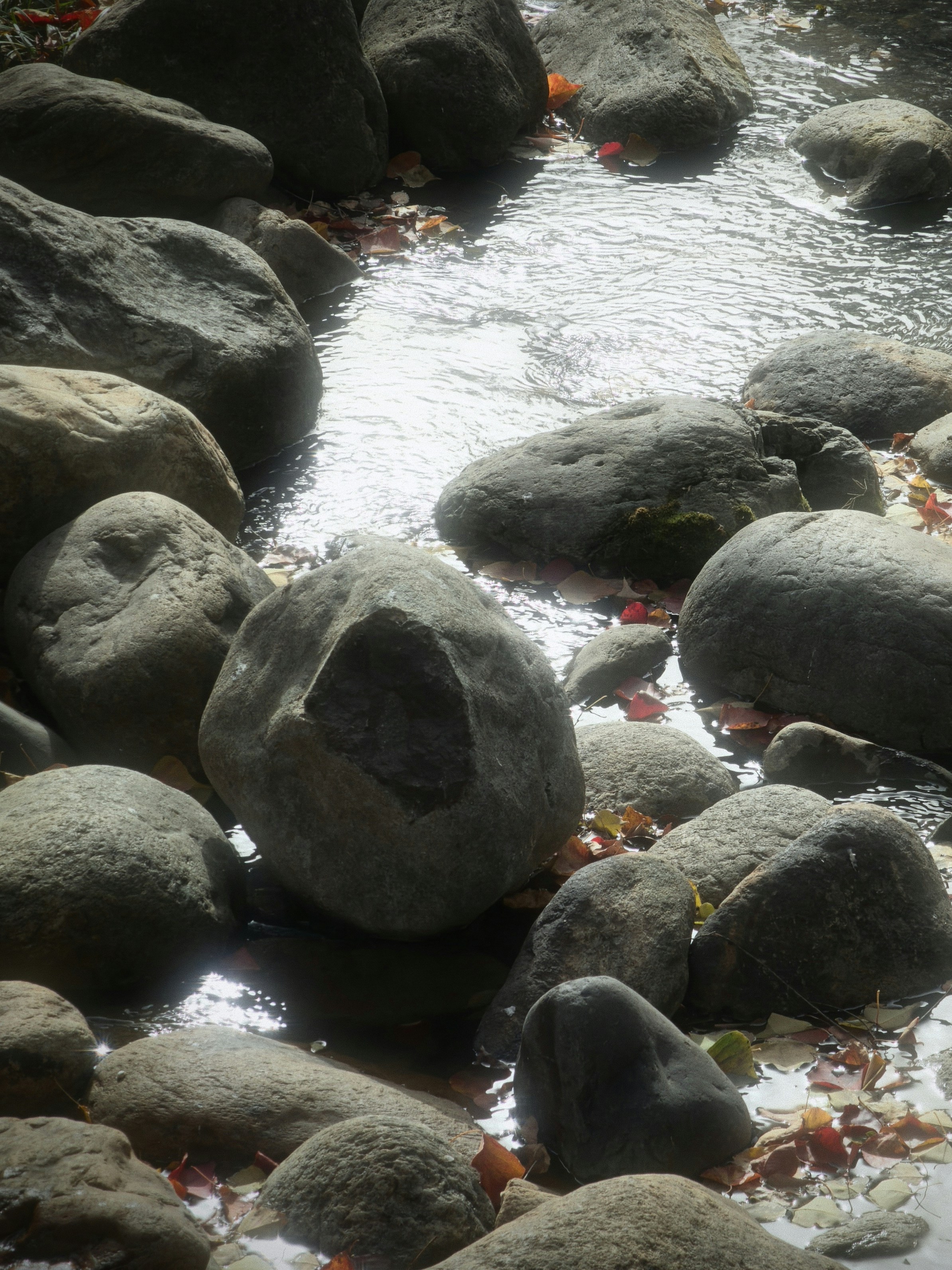 Large rocks and fallen leaves by a stream