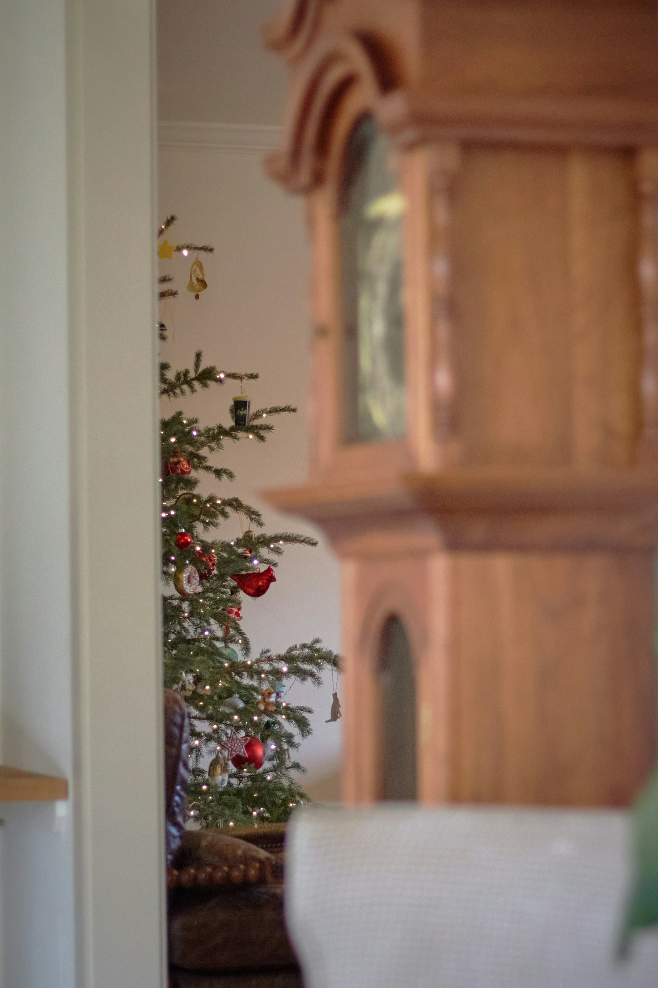 Hidden Christmas Tree Through a Wooden Corridor