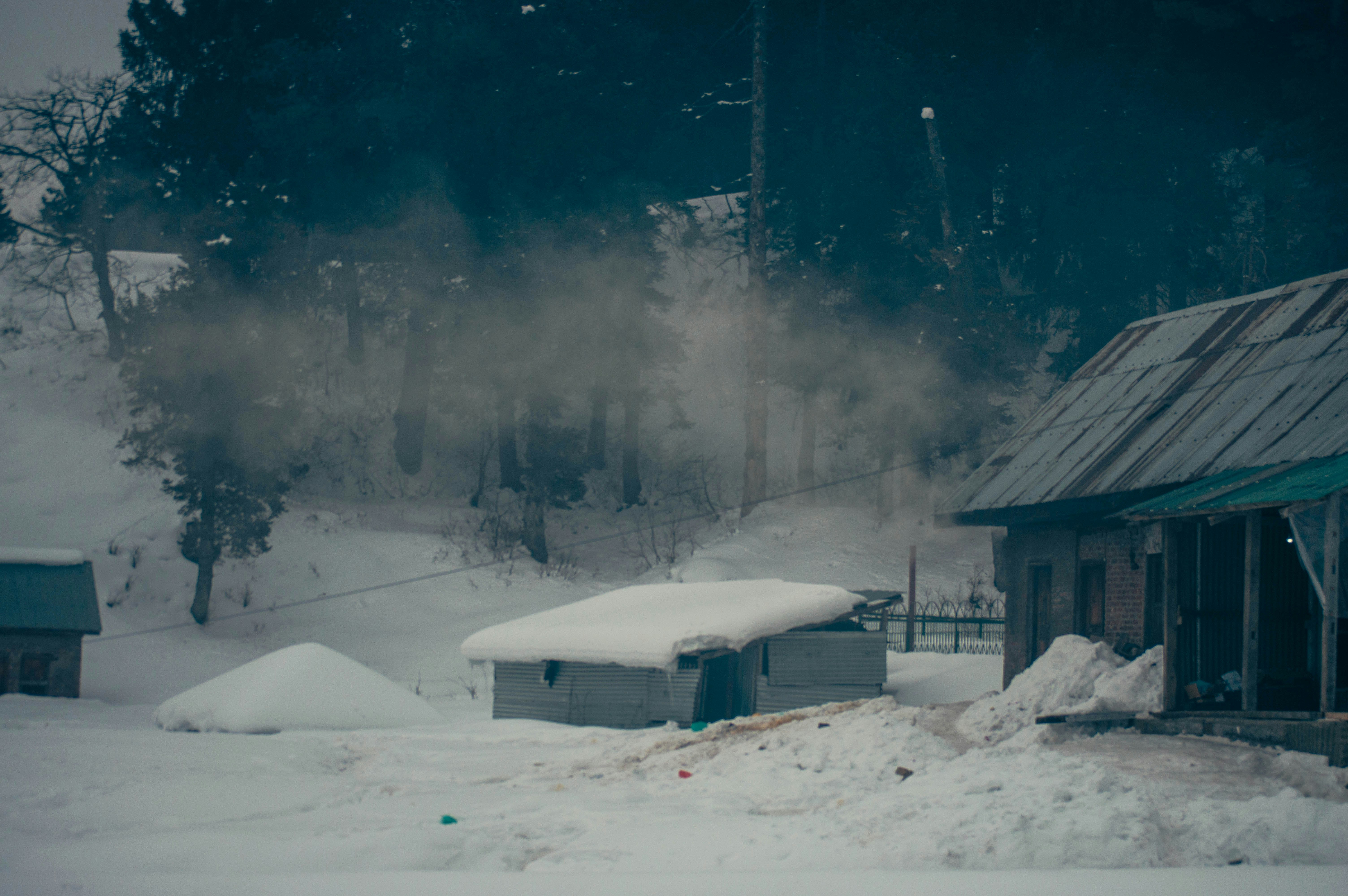 Photo by Amogh P with Nikon D3200