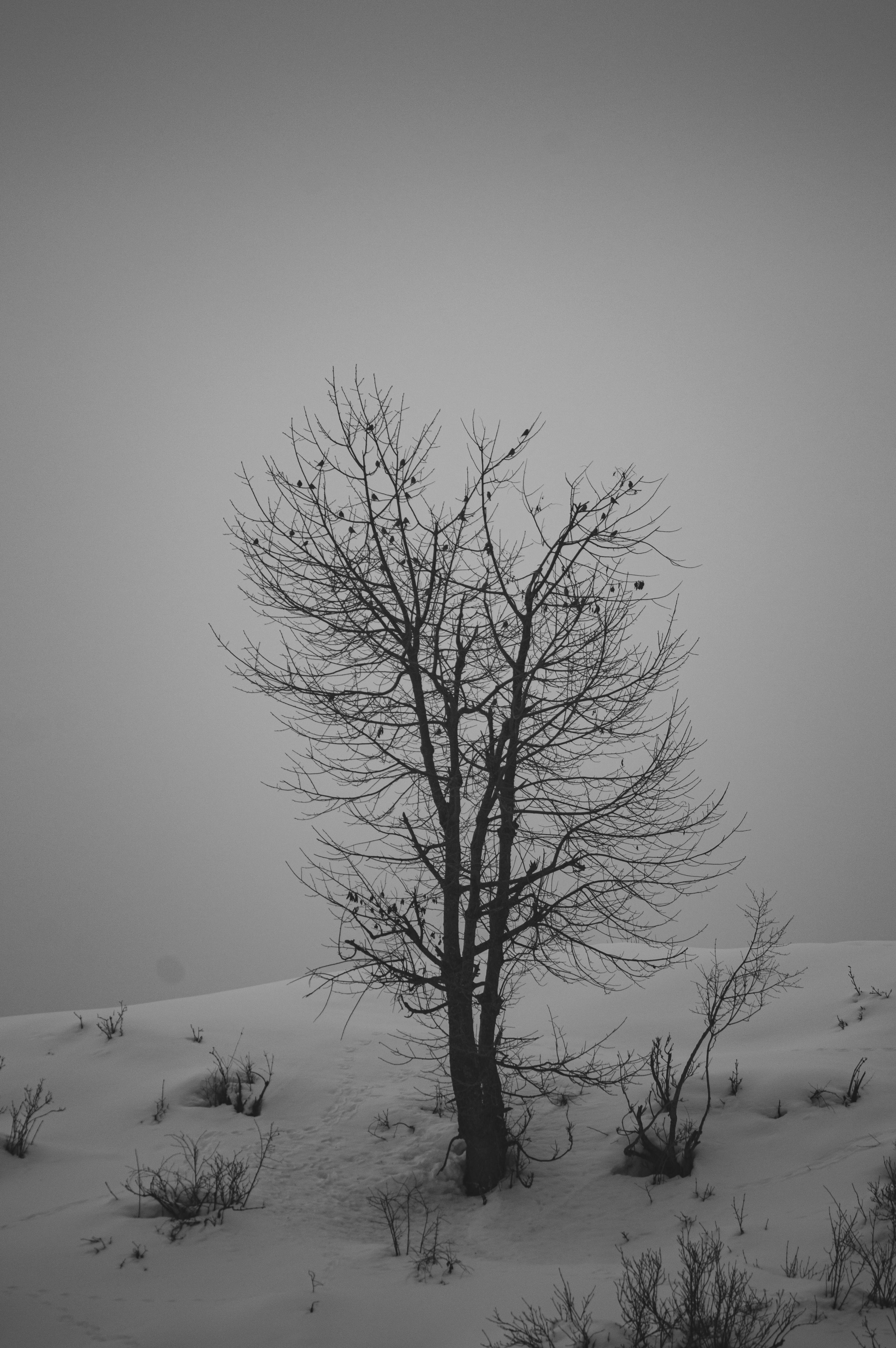 Photo by Amogh P with Nikon D3200