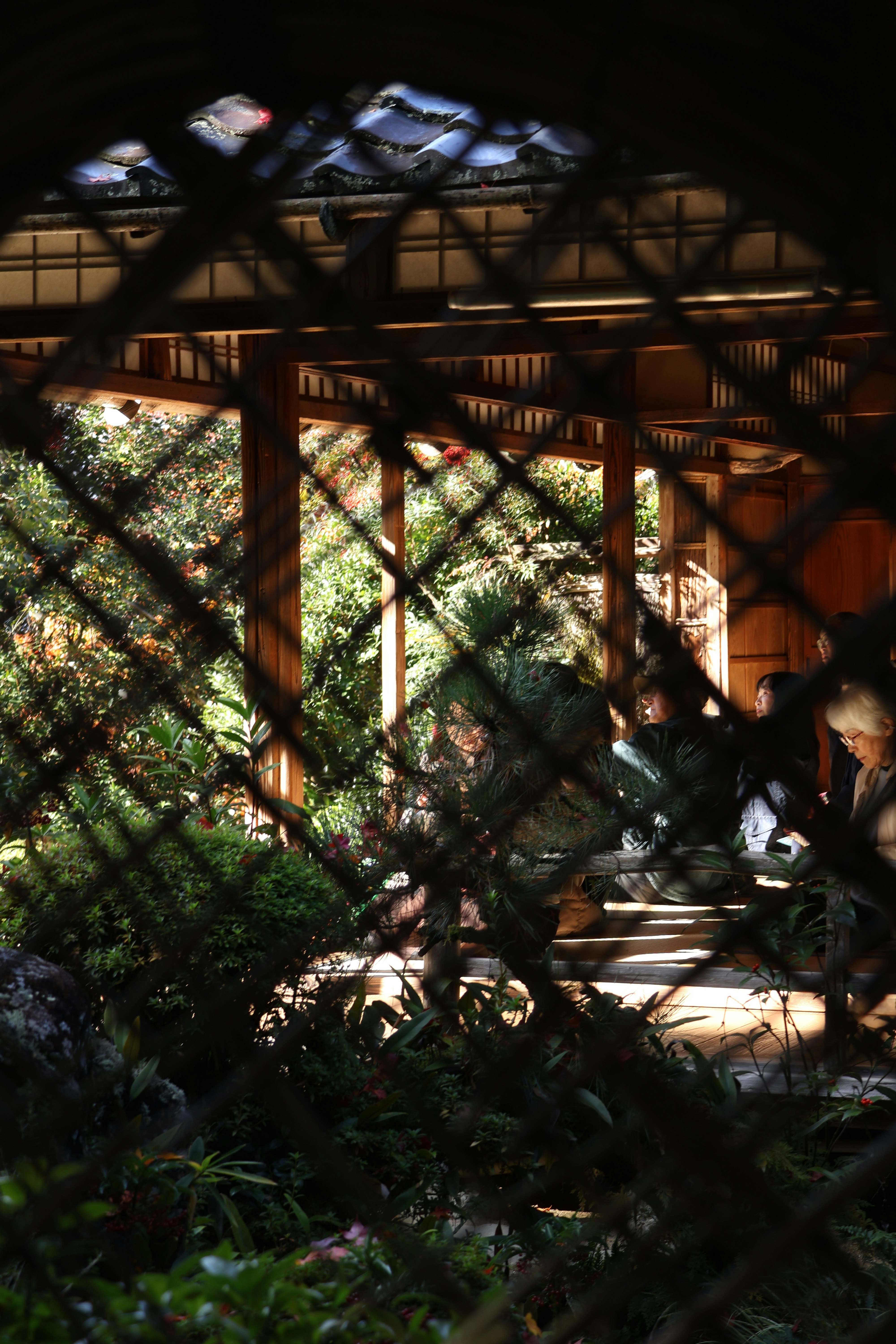 Hidden Garden Talk Through a Lattice Window