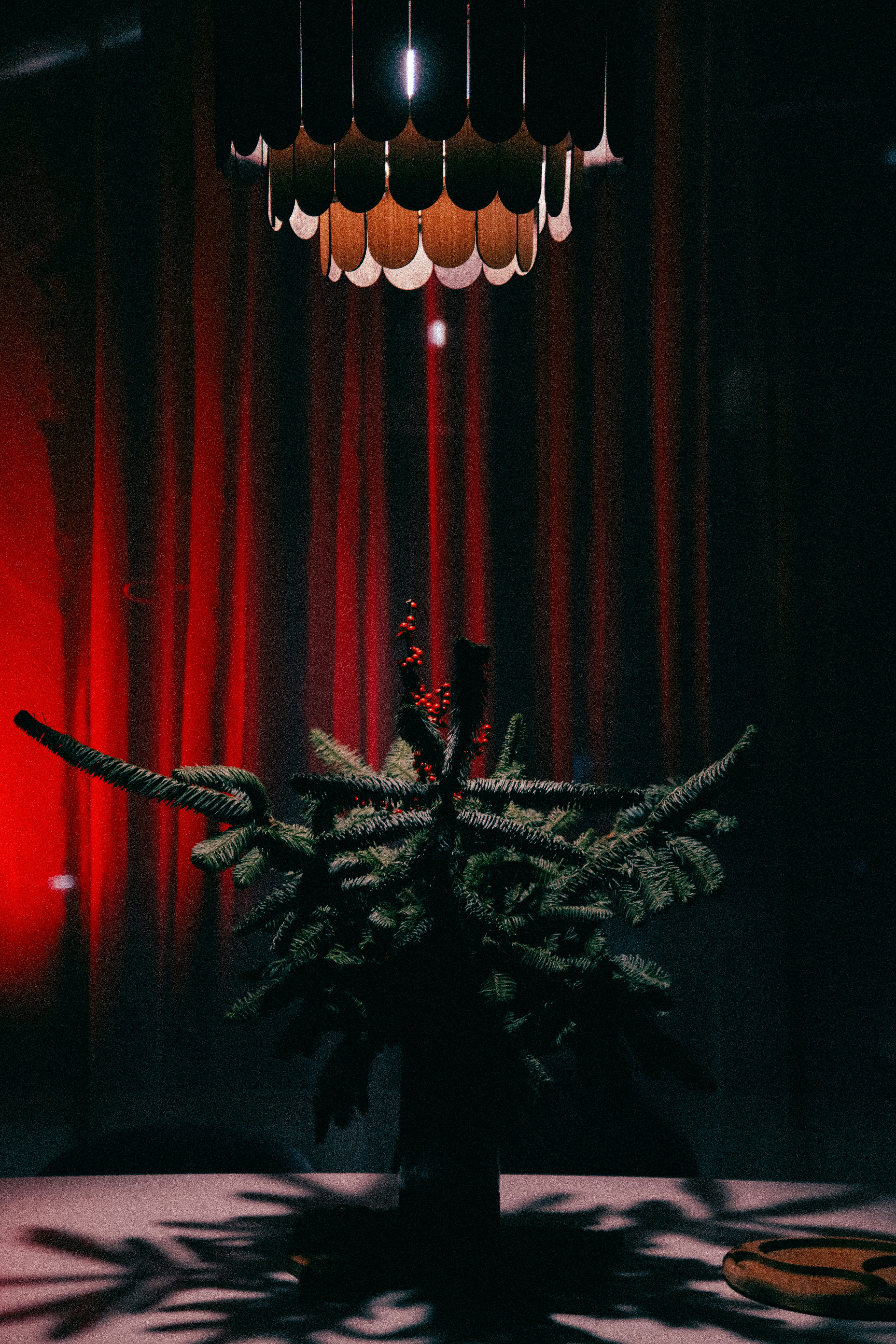 Photo by Klara Kulikova with Canon EOS 6D