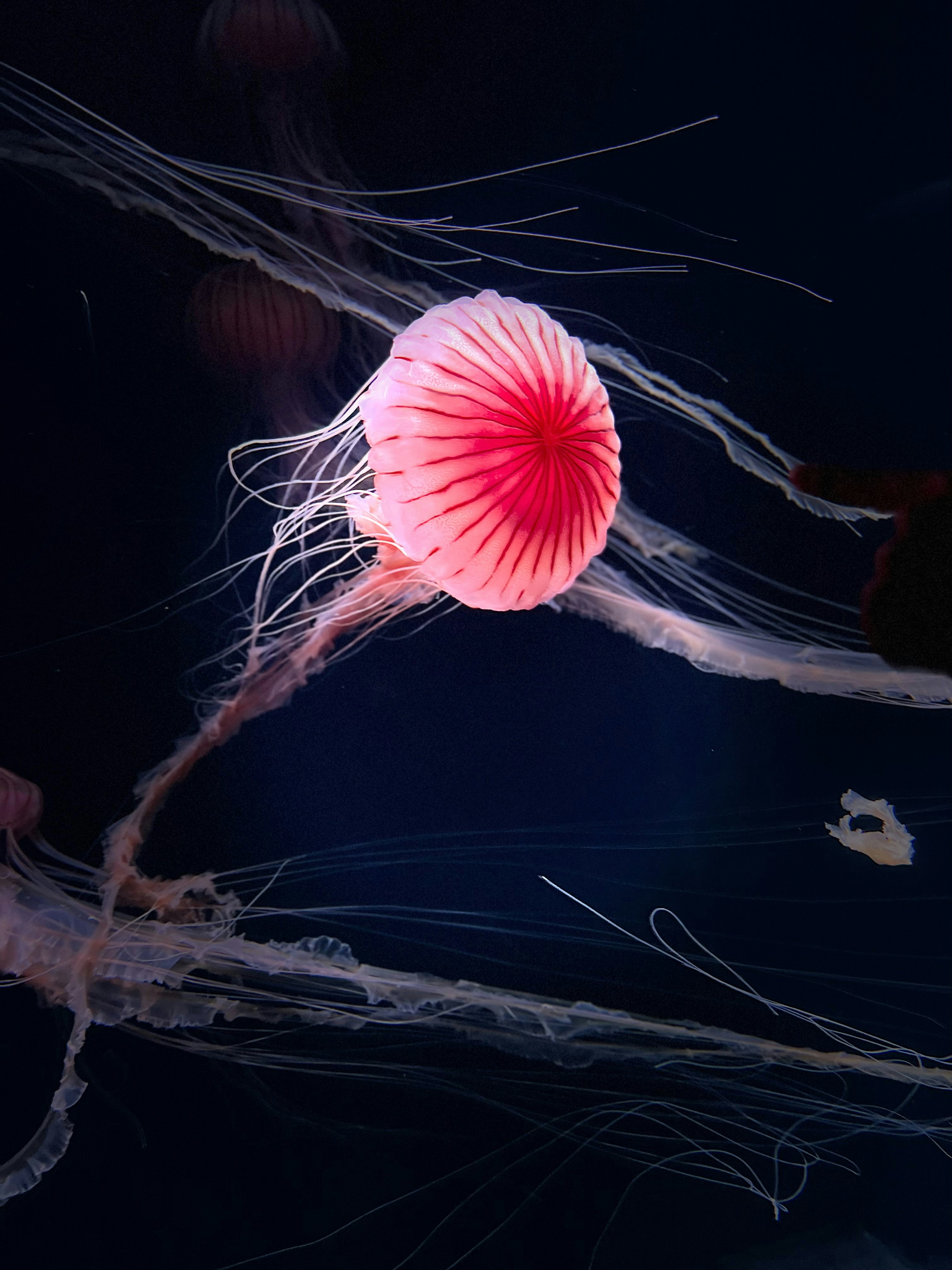 Photo by r with Apple iPhone 13 Pro Max