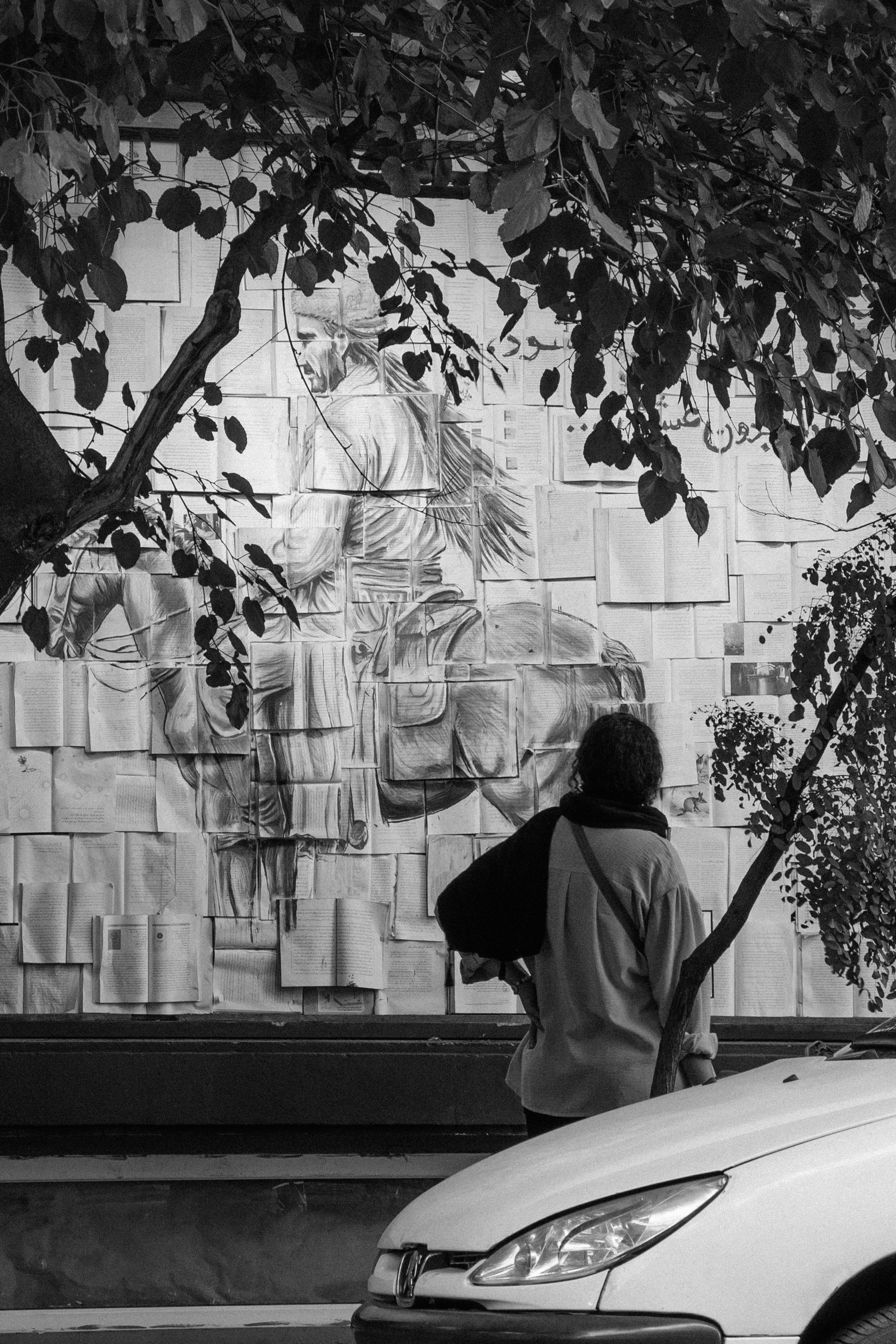 Photo by Mohammadreza Charkhgard with Sony Alpha 7C II