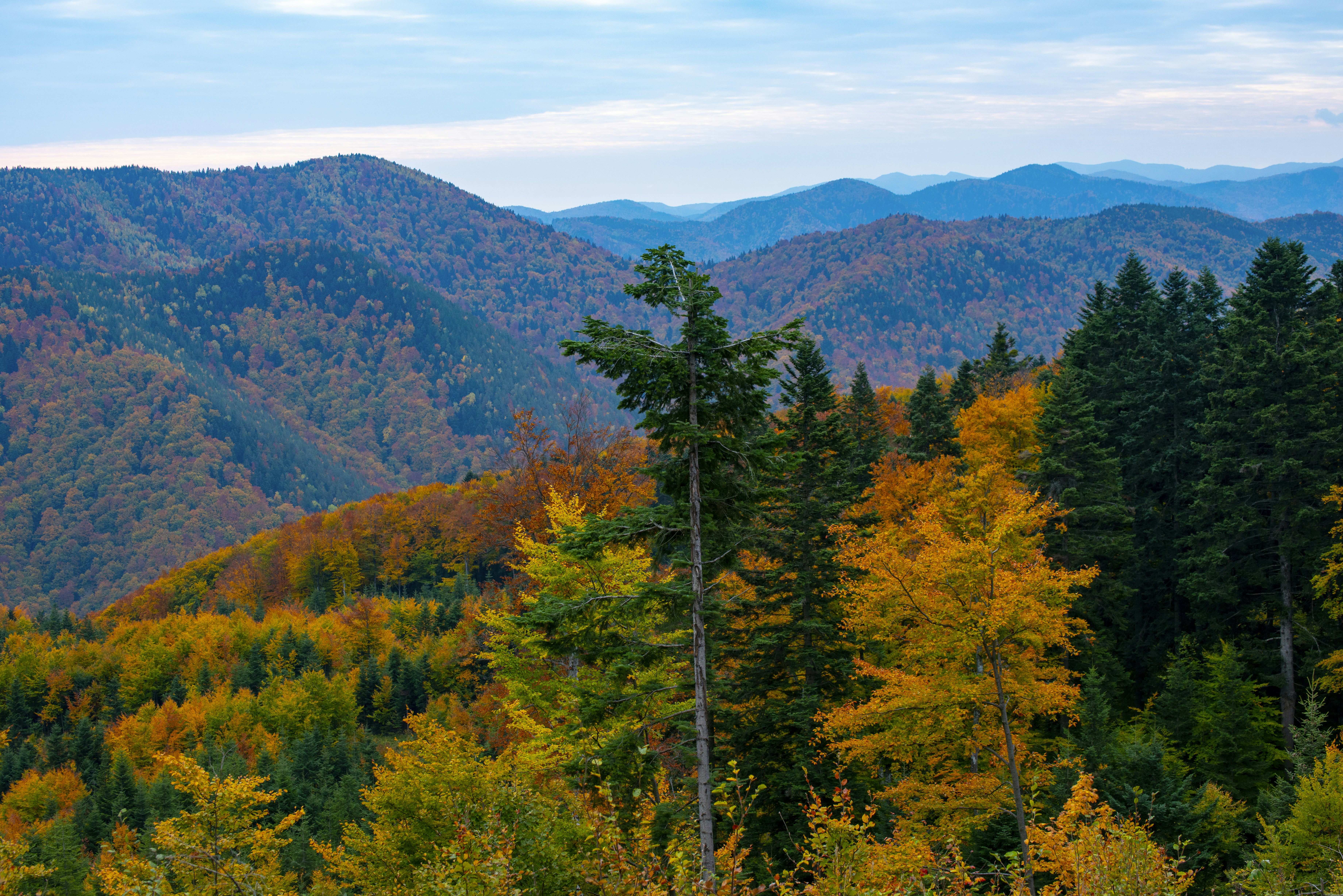 Photo by Calistrat Hogash with Nikon D800