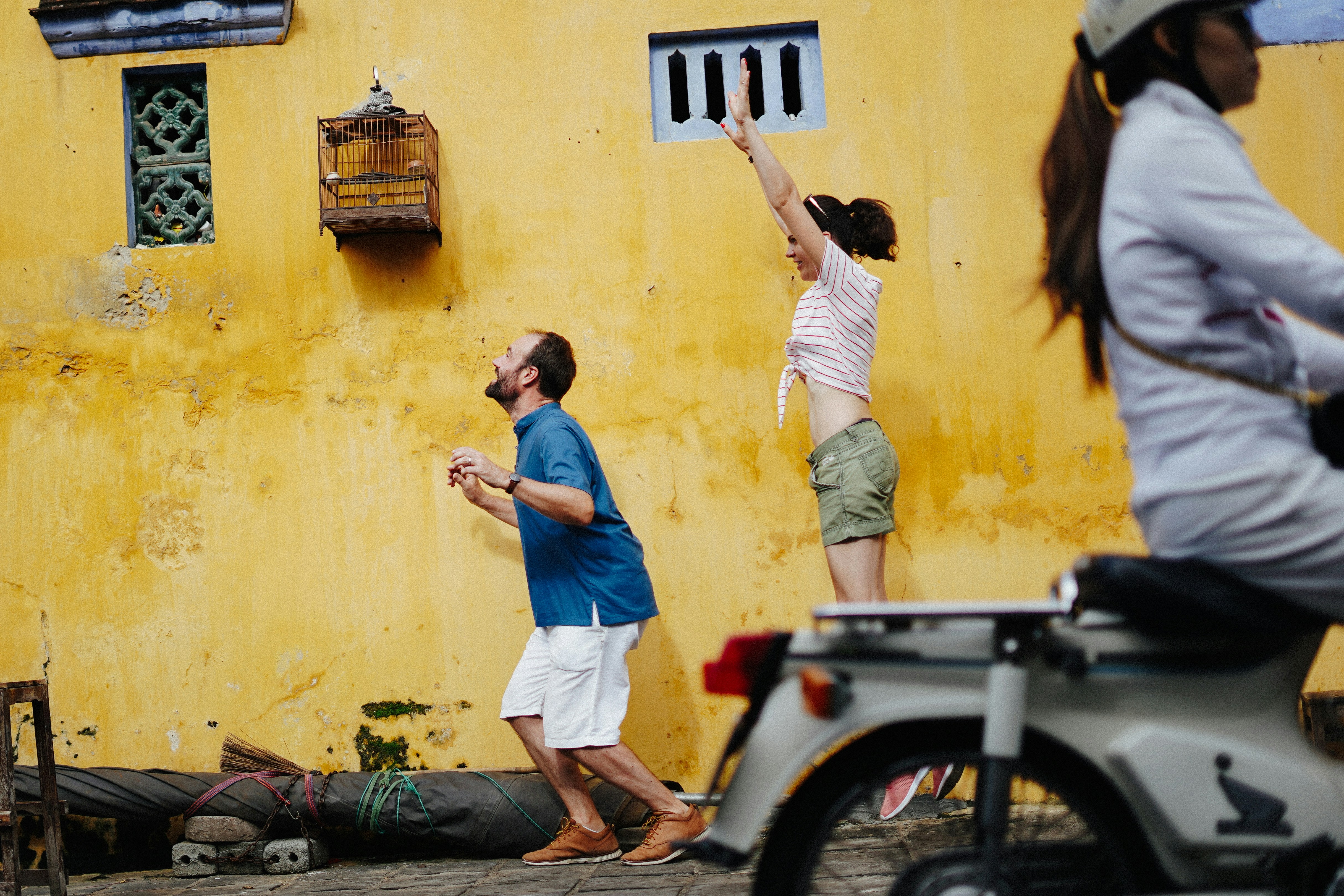 Birdcage Moment: A playful tug-of-play at a sunlit yellow wall