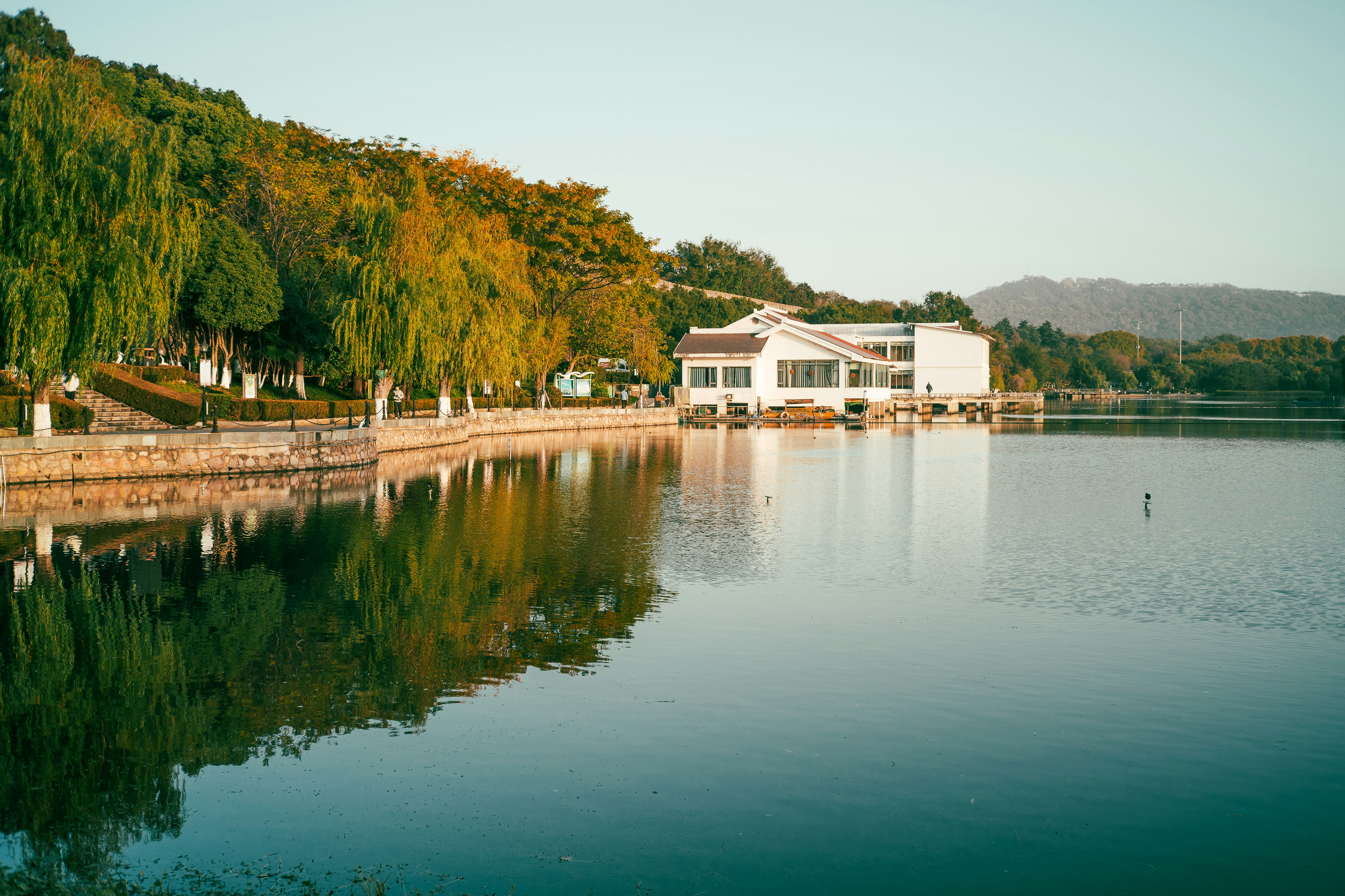 Photo by Cheng Shi Song with Nikon Zf