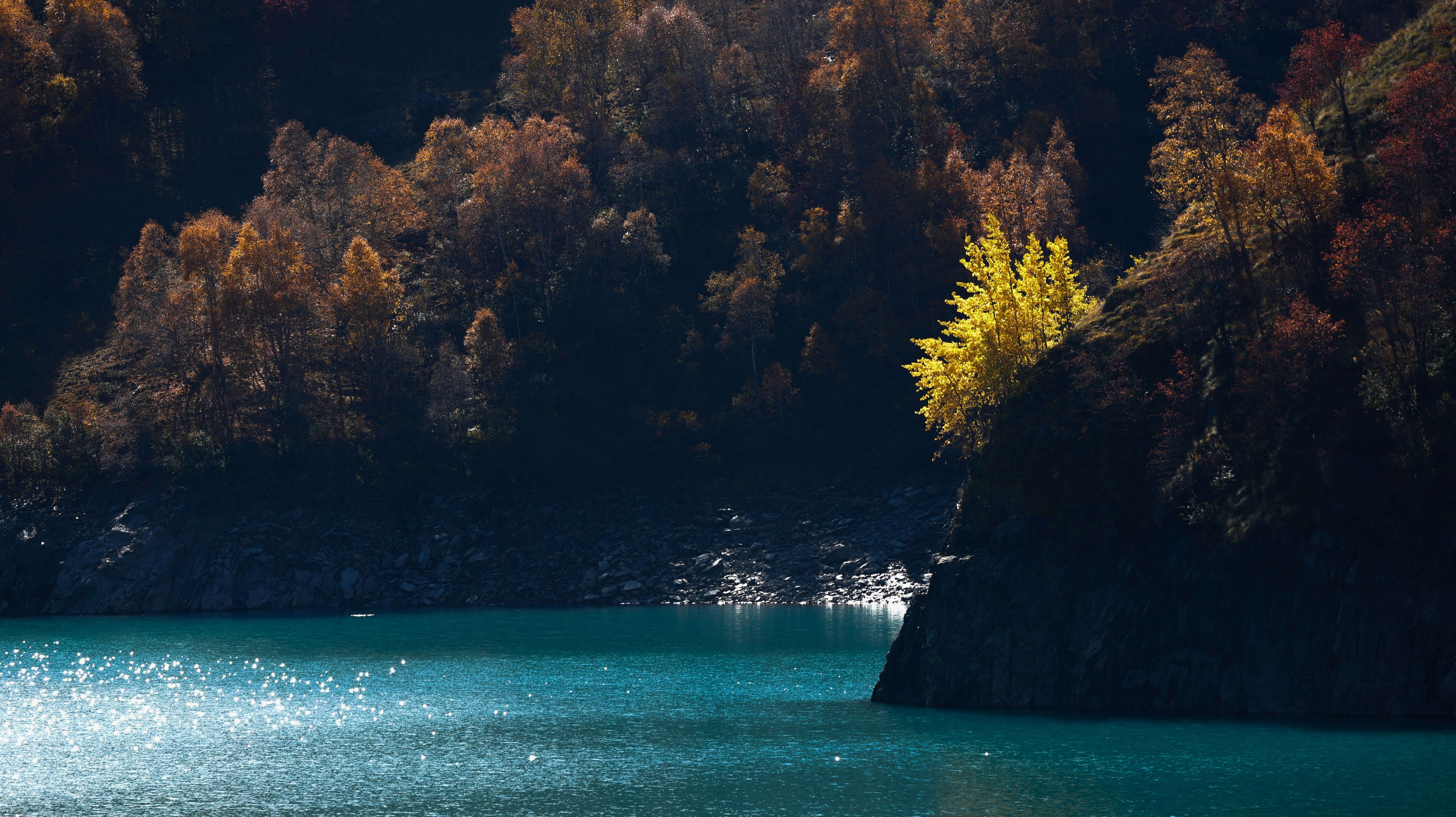 Emerald Waters and Luminous Tree on a Forested Cliff