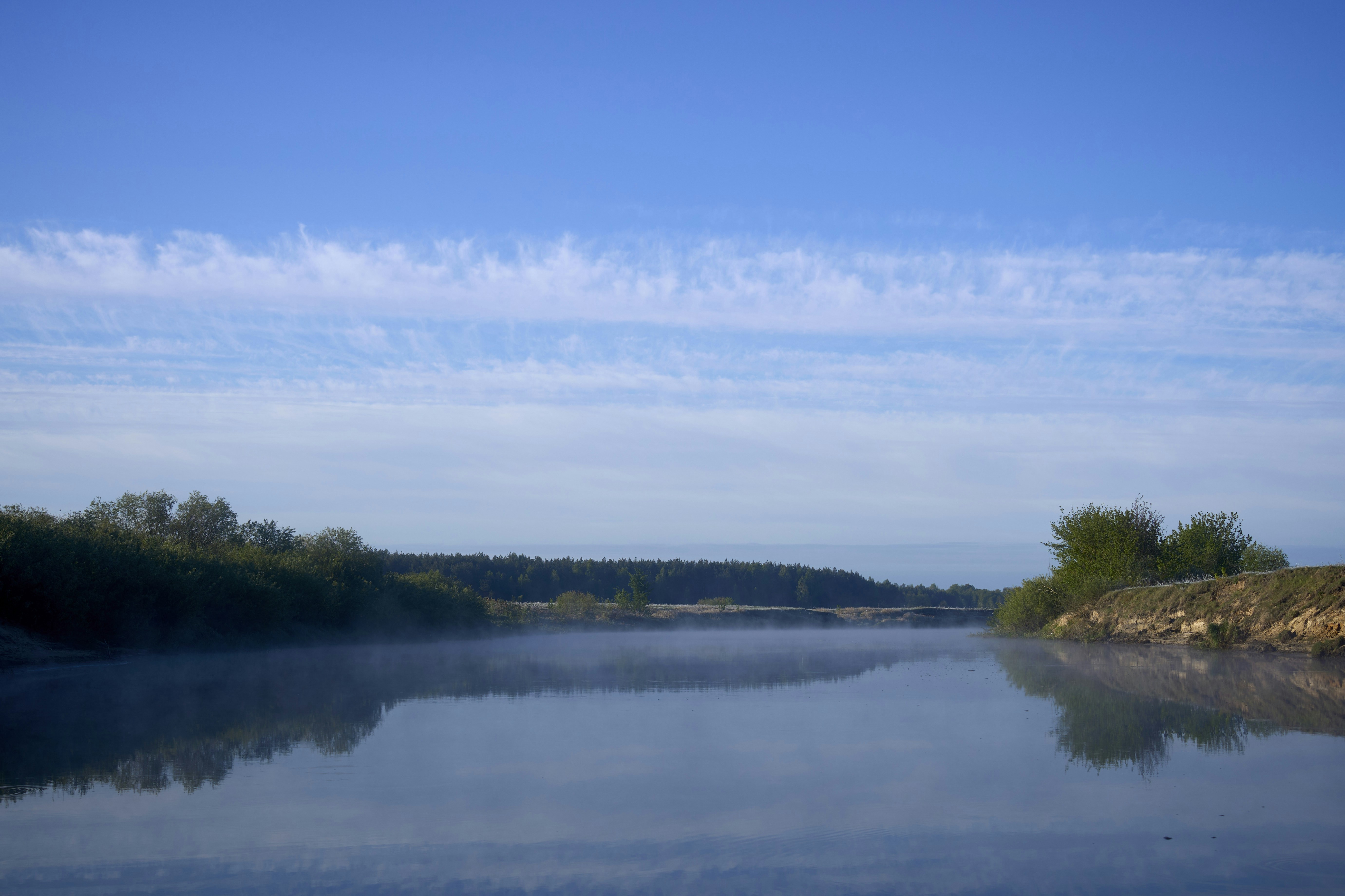 Photo by Wolfgang Hasselmann with Sony Alpha 7 IV